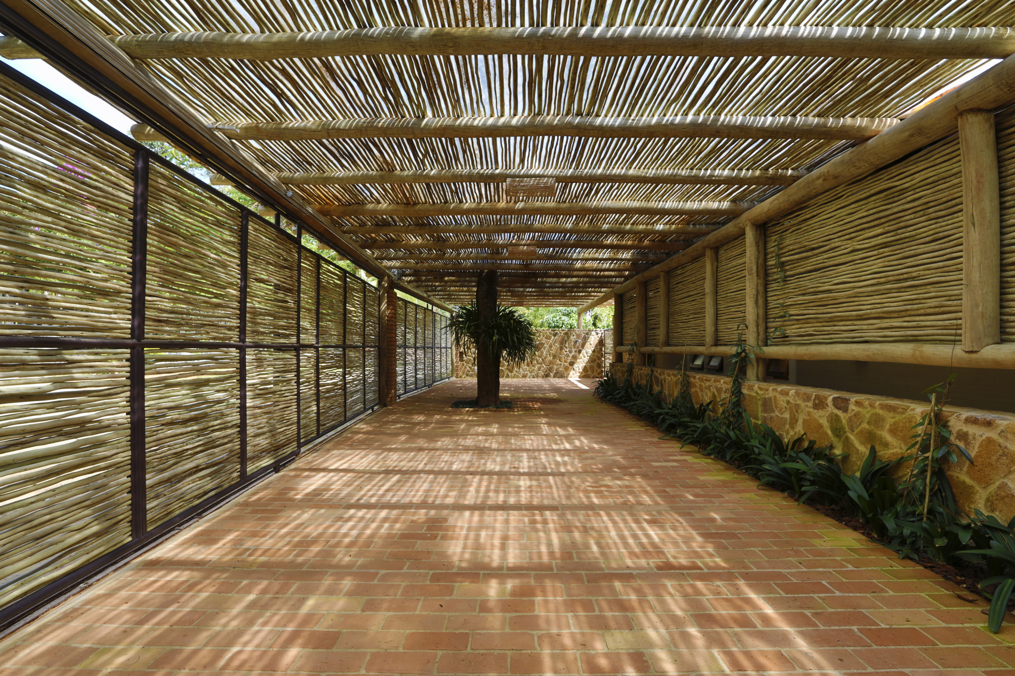 Galeria de TG Ilhabela / Alex Hanazaki Paisagismo - 2