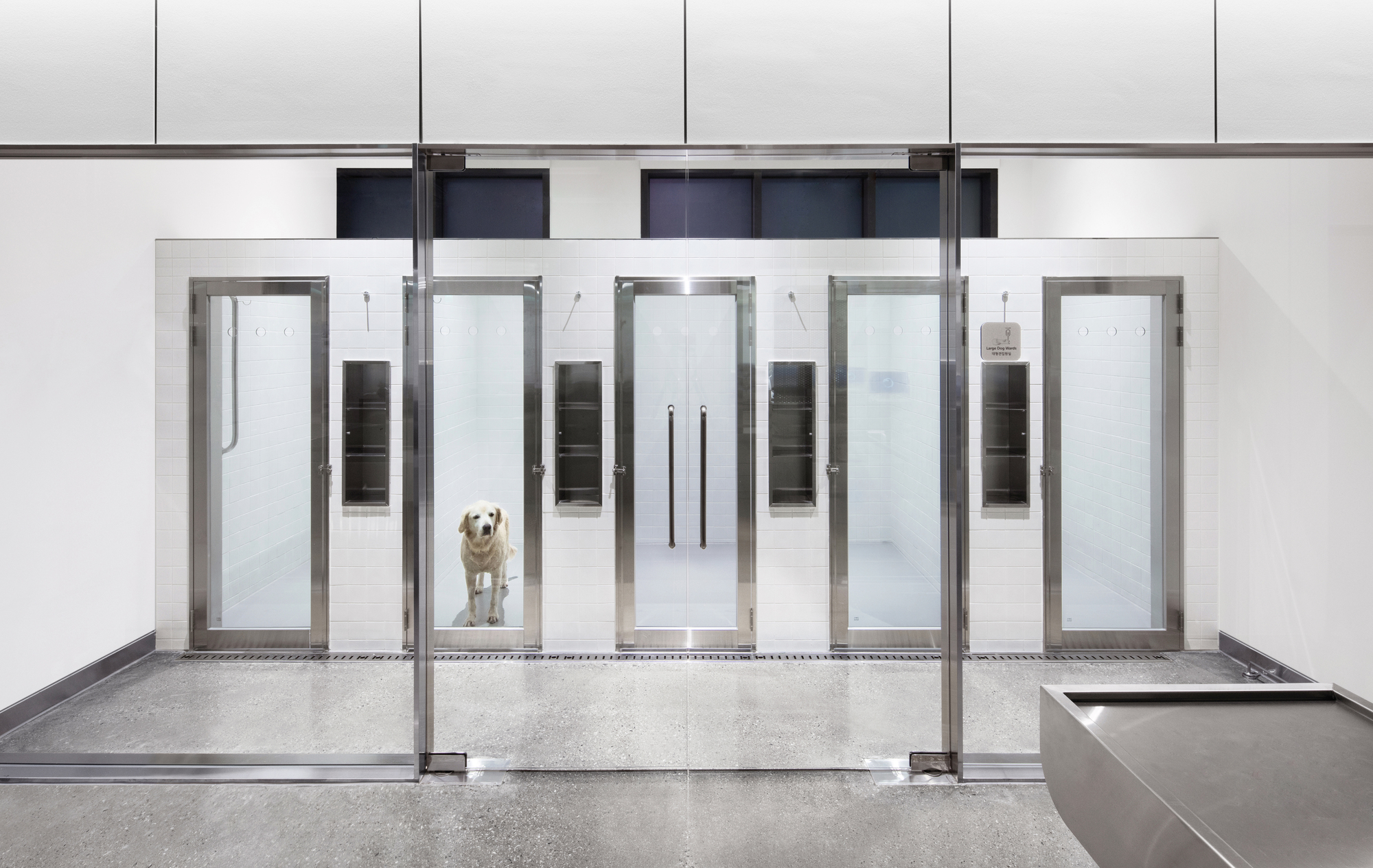 Gallery of OASIS Veterinary / Betwin Space Design - 13