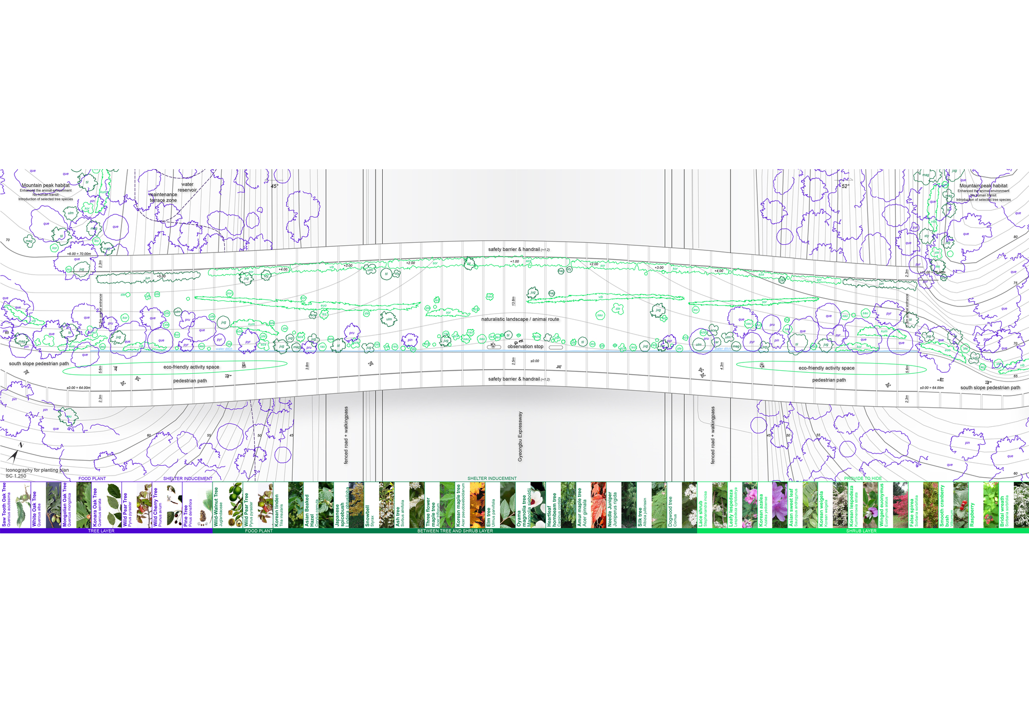 Gallery of Eco Bridge Design Winner Creates an Undulating Mountainside ...