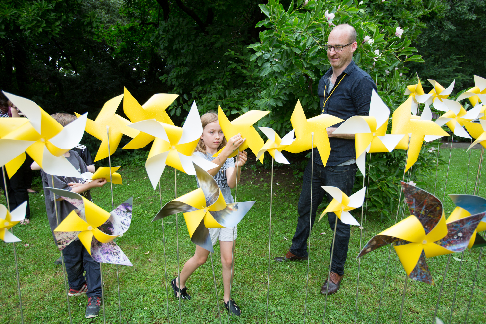 Gallery of Brooklyn's Prospect Park Gets Covered in Thousands of ...