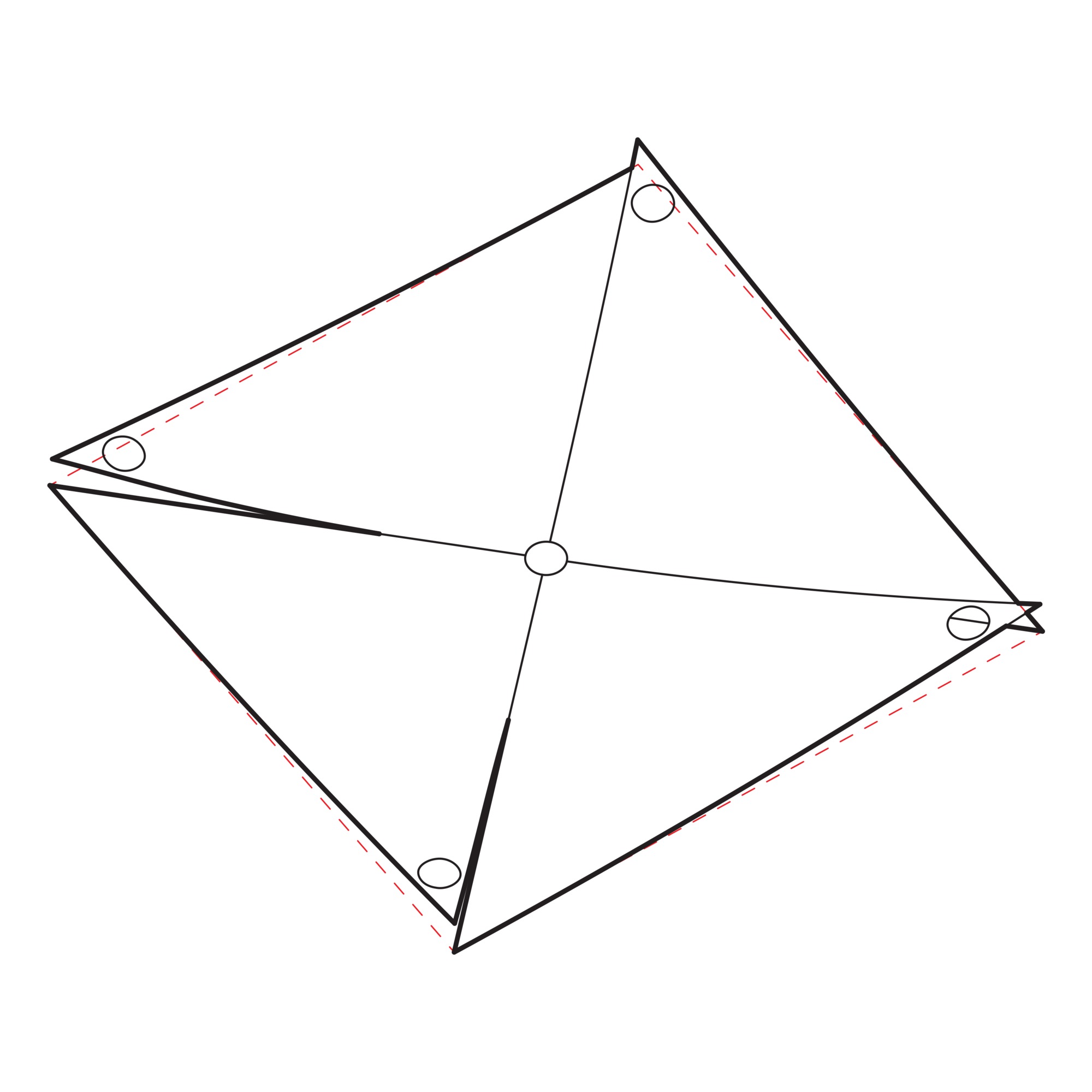 Gallery of Brooklyn's Prospect Park Gets Covered in Thousands of ...