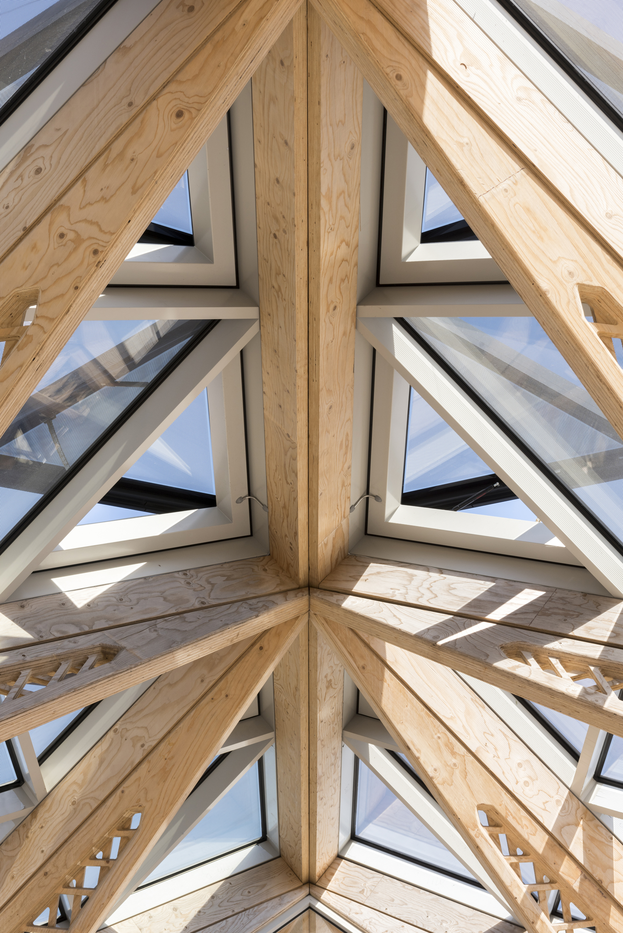 Gallery of Maggie's Cancer Centre Manchester / Foster + Partners - 16