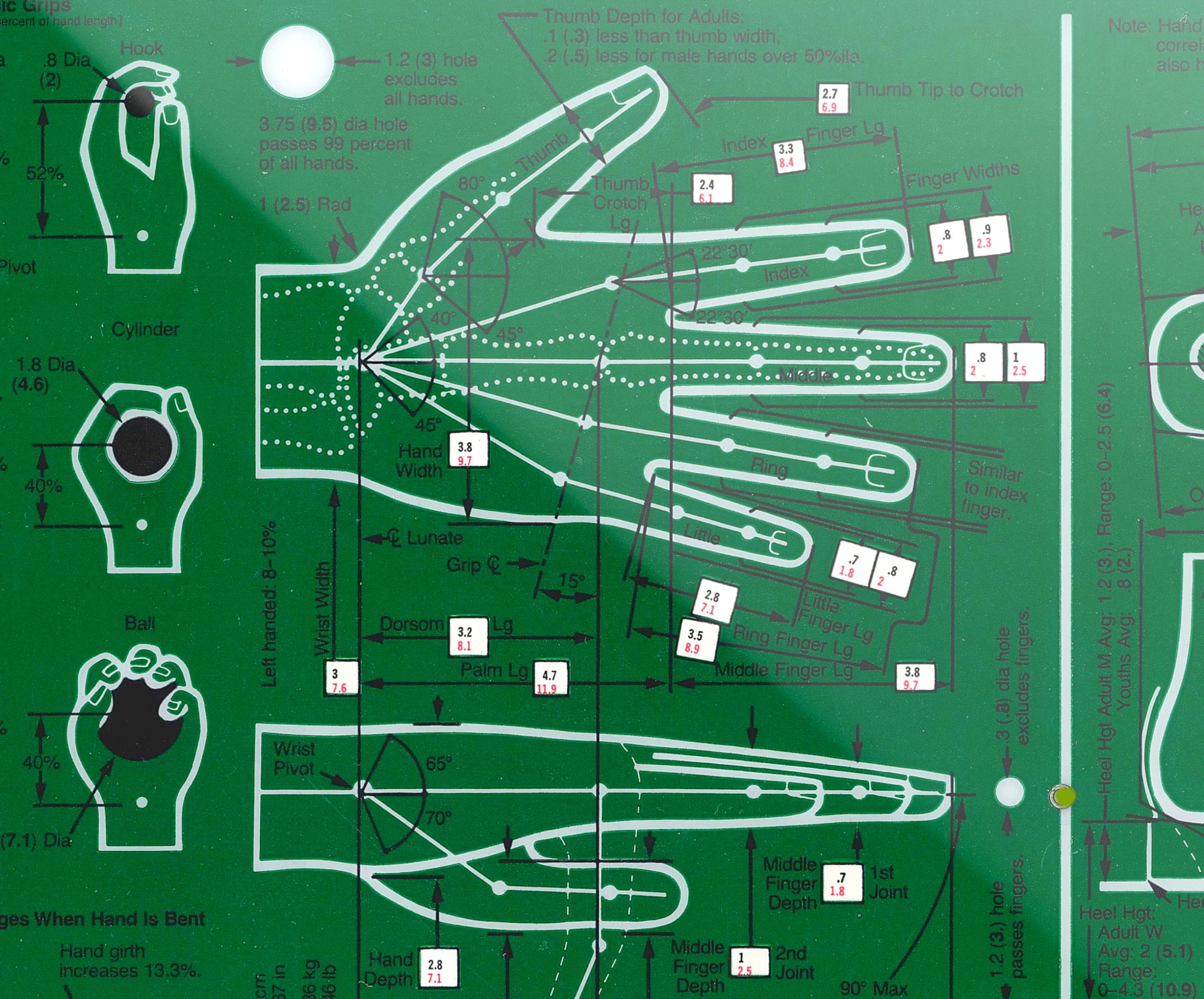 Gallery of Humanscale's Ergonomic Design Templates Are the Ultimate ...