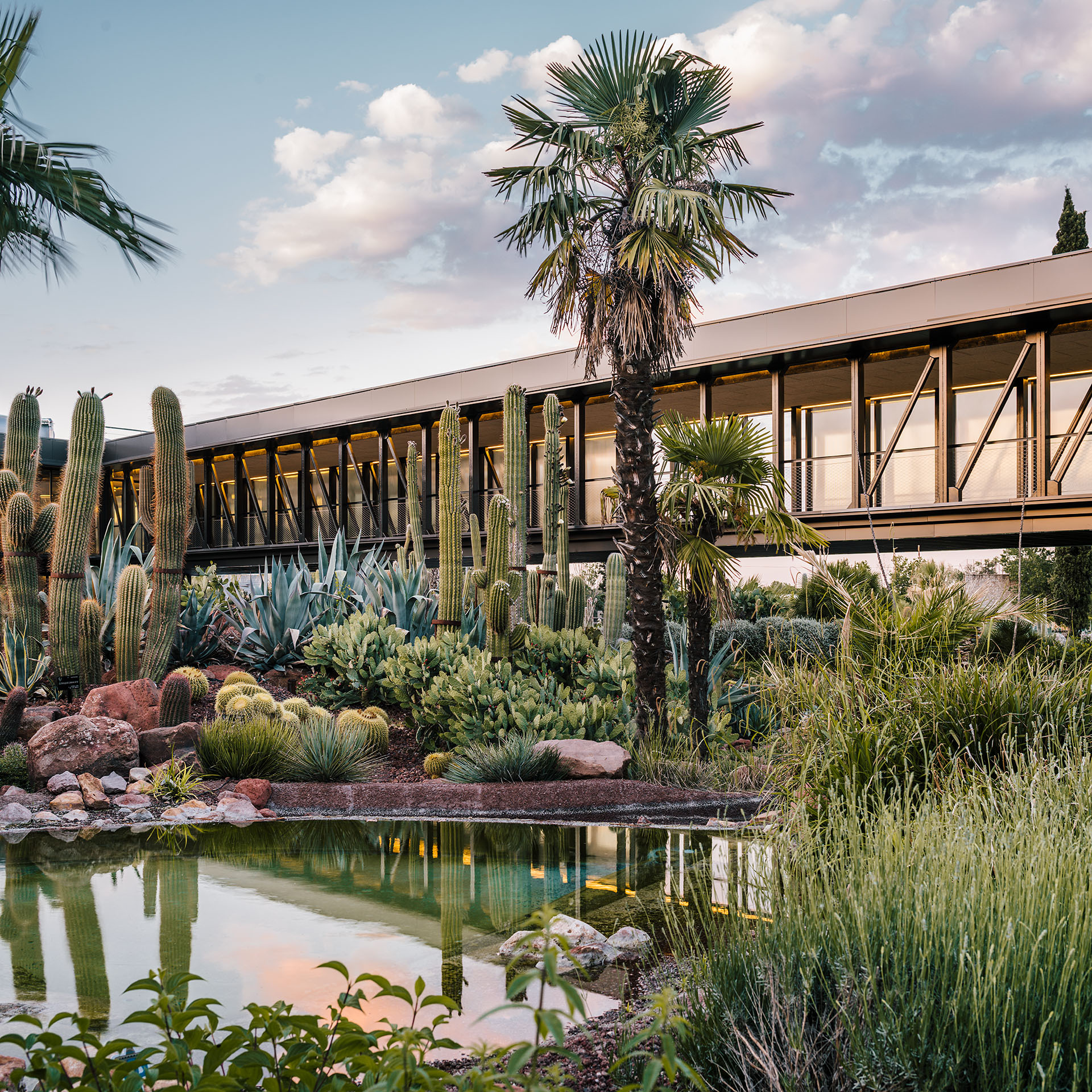 Gallery of Desert City / Garciagerman Arquitectos - 11