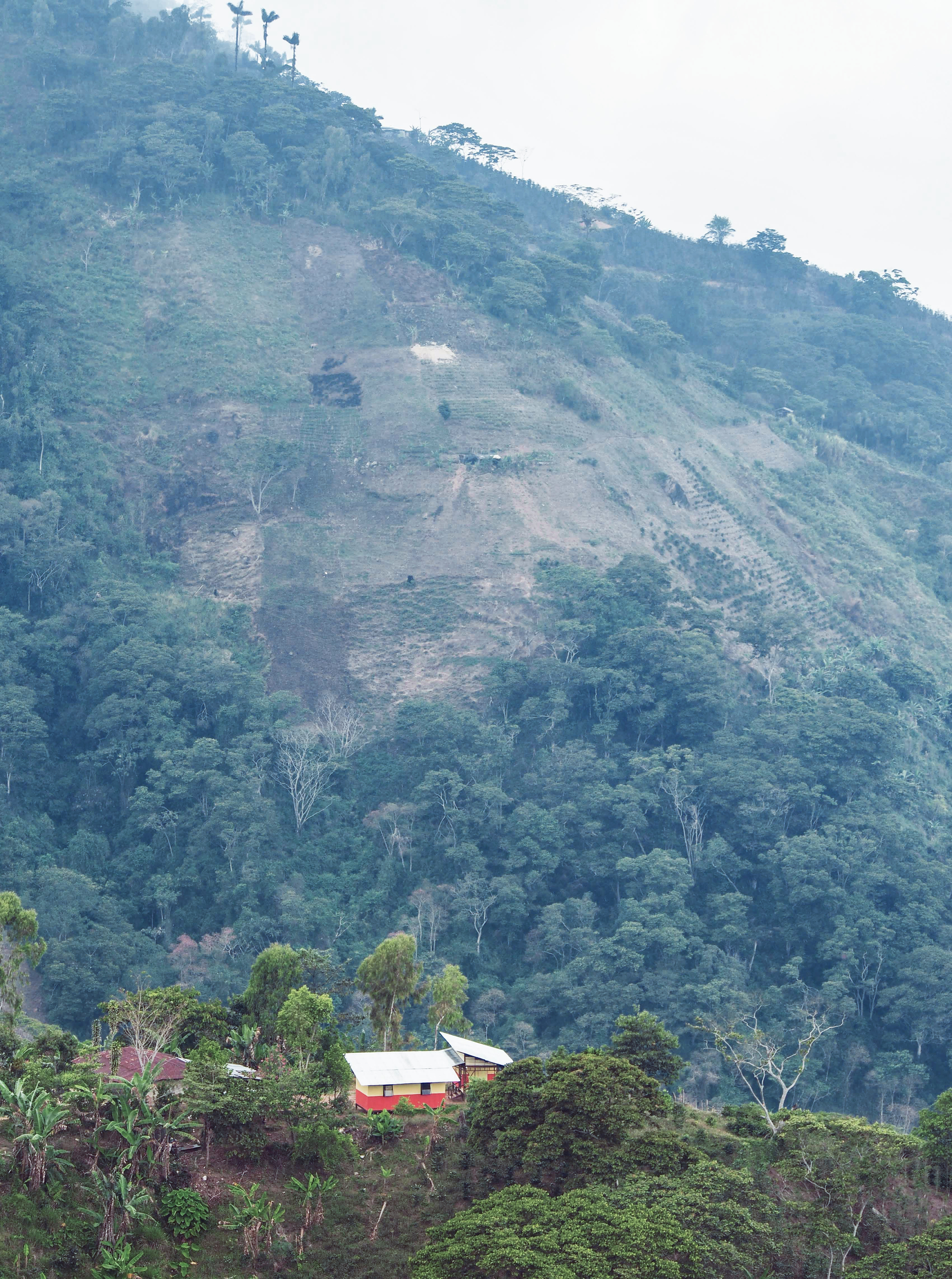 Gallery of Architectural System for Rural Social Interest Housing ...