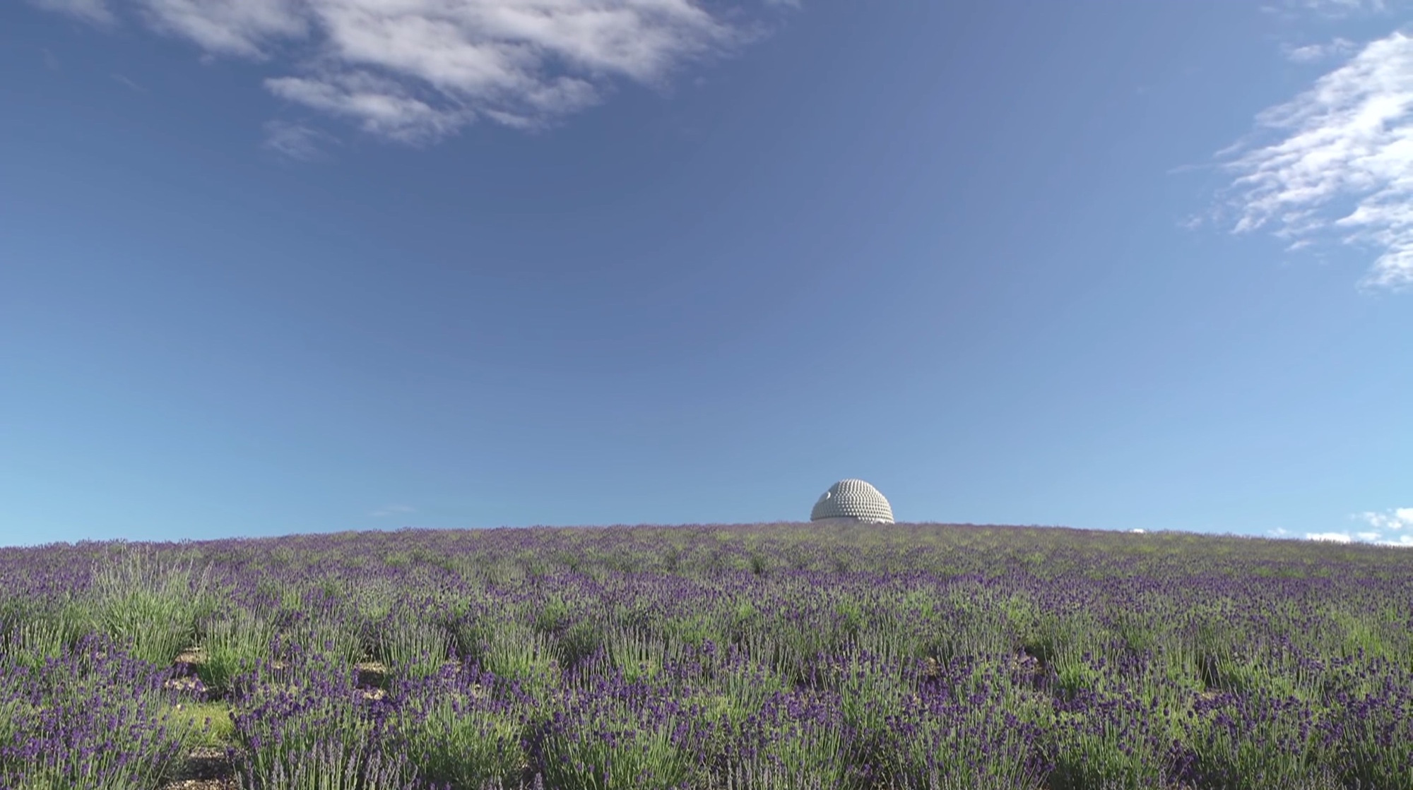 Gallery of Tadao Ando Envelops Giant Buddha Statue in Lavender-Planted ...