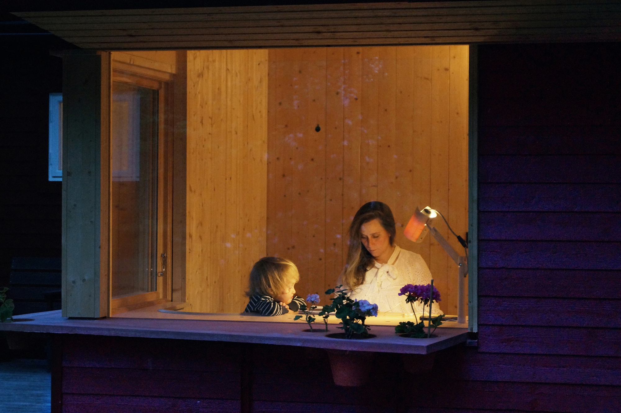 Gallery of Look Out Lodge / Anders Berensson Architects - 8