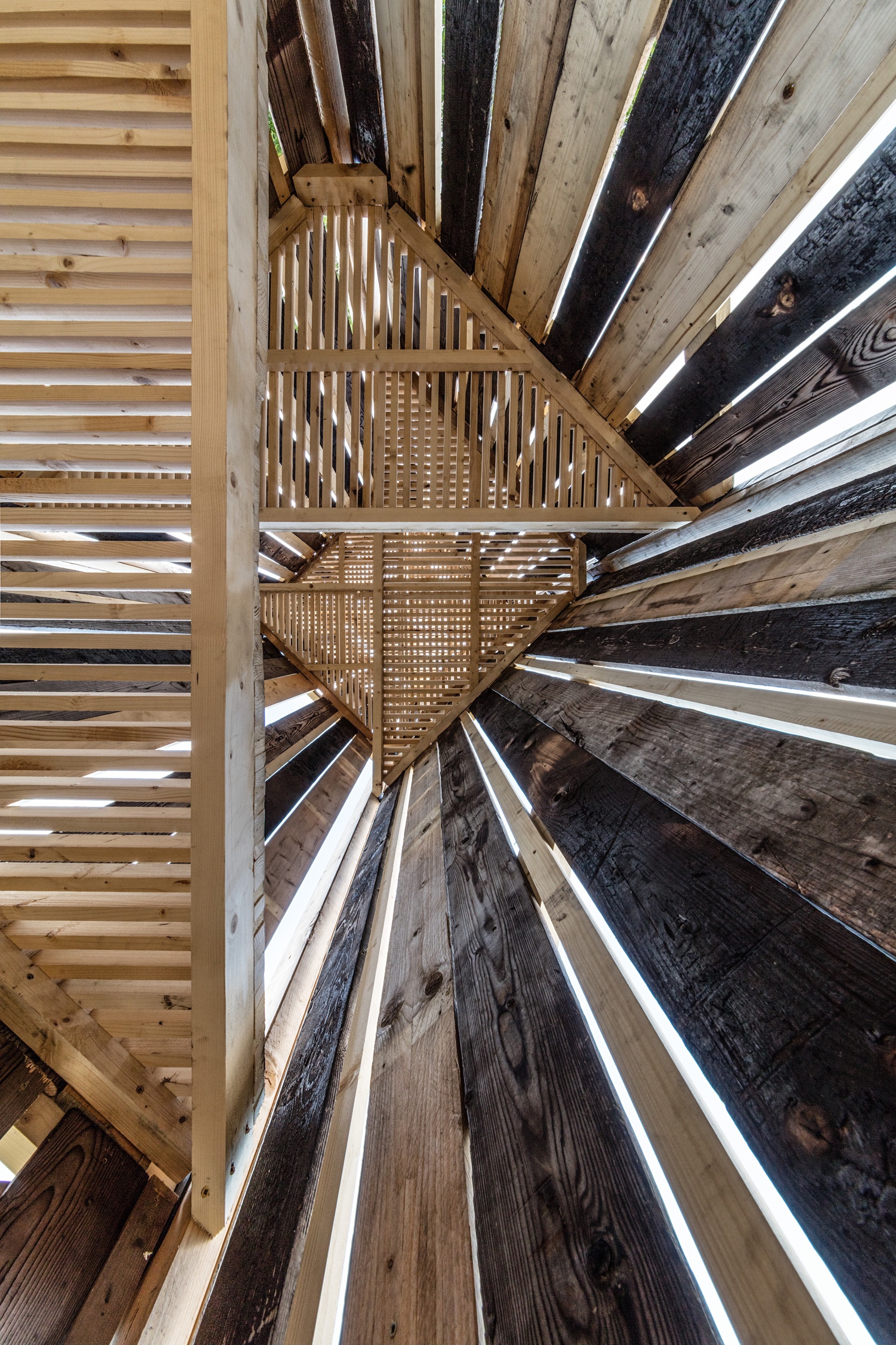 Gallery of Students Construct 7 Inhabitation Structures at Hello Wood's ...