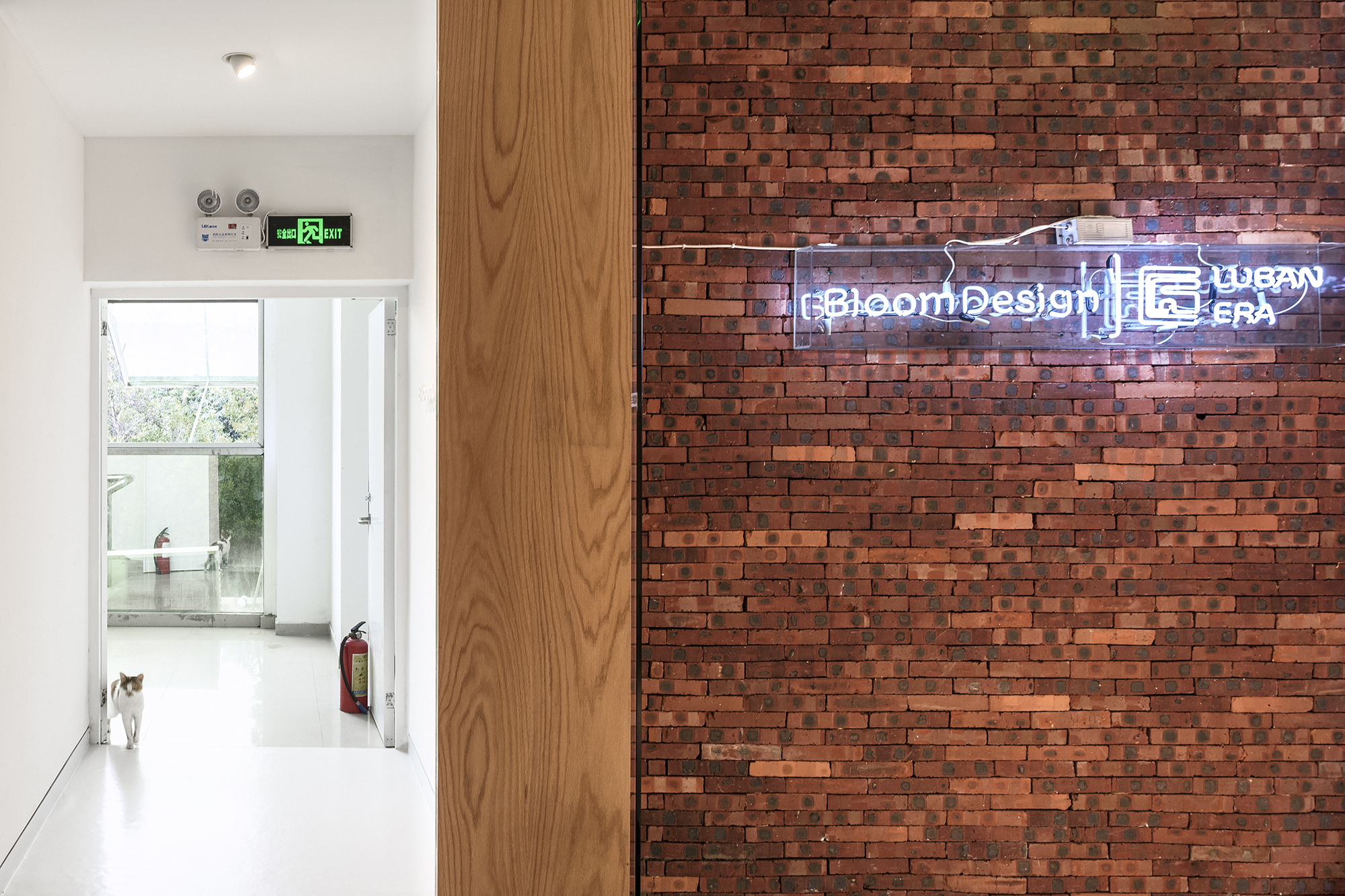 Gallery of Bloom Design Studio / Bloom Design - 13