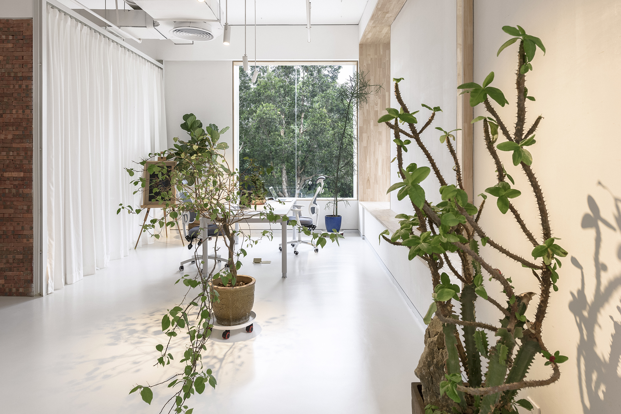 Gallery of Bloom Design Studio / Bloom Design - 14