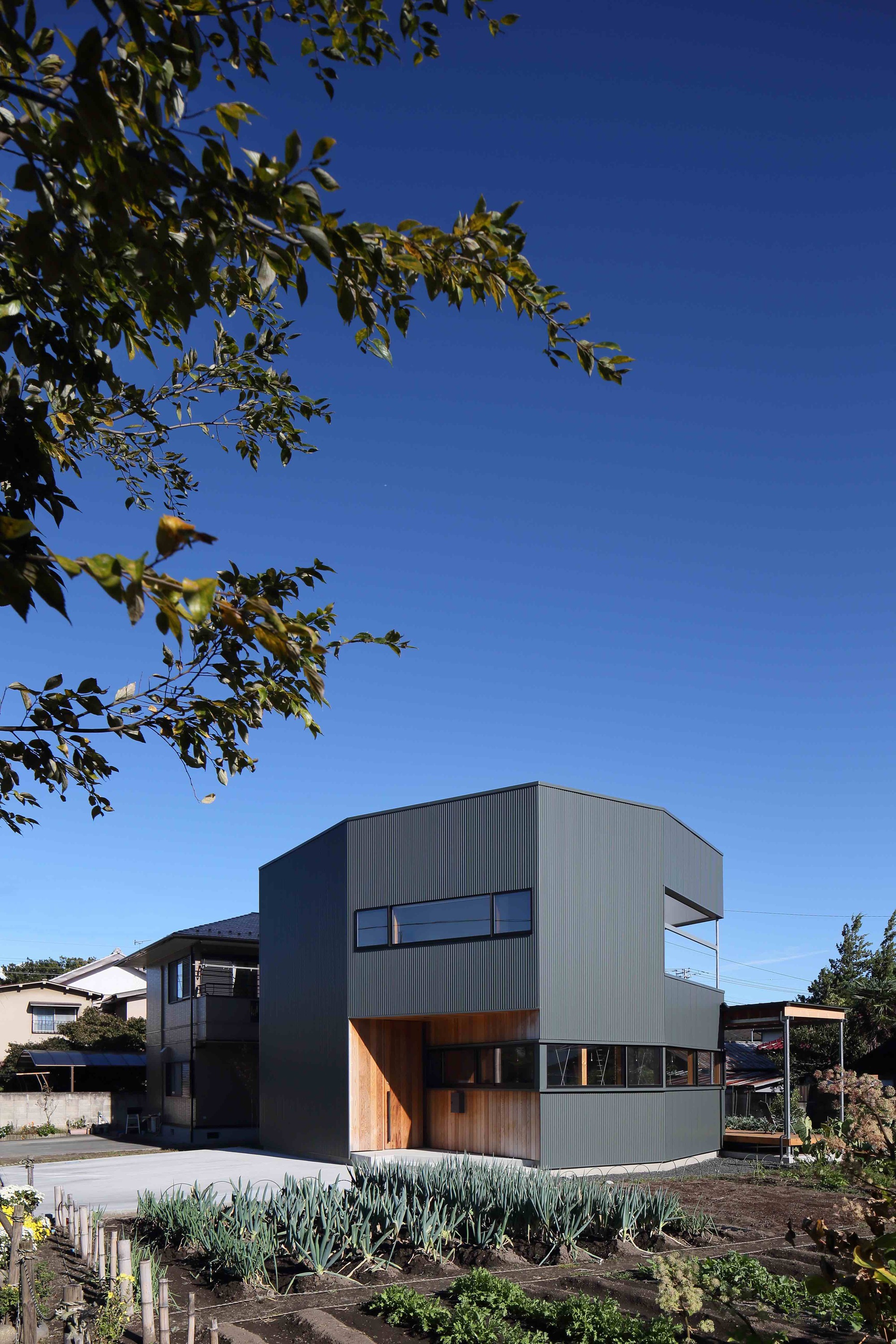 Gallery of Plug House / studioLOOP - 11