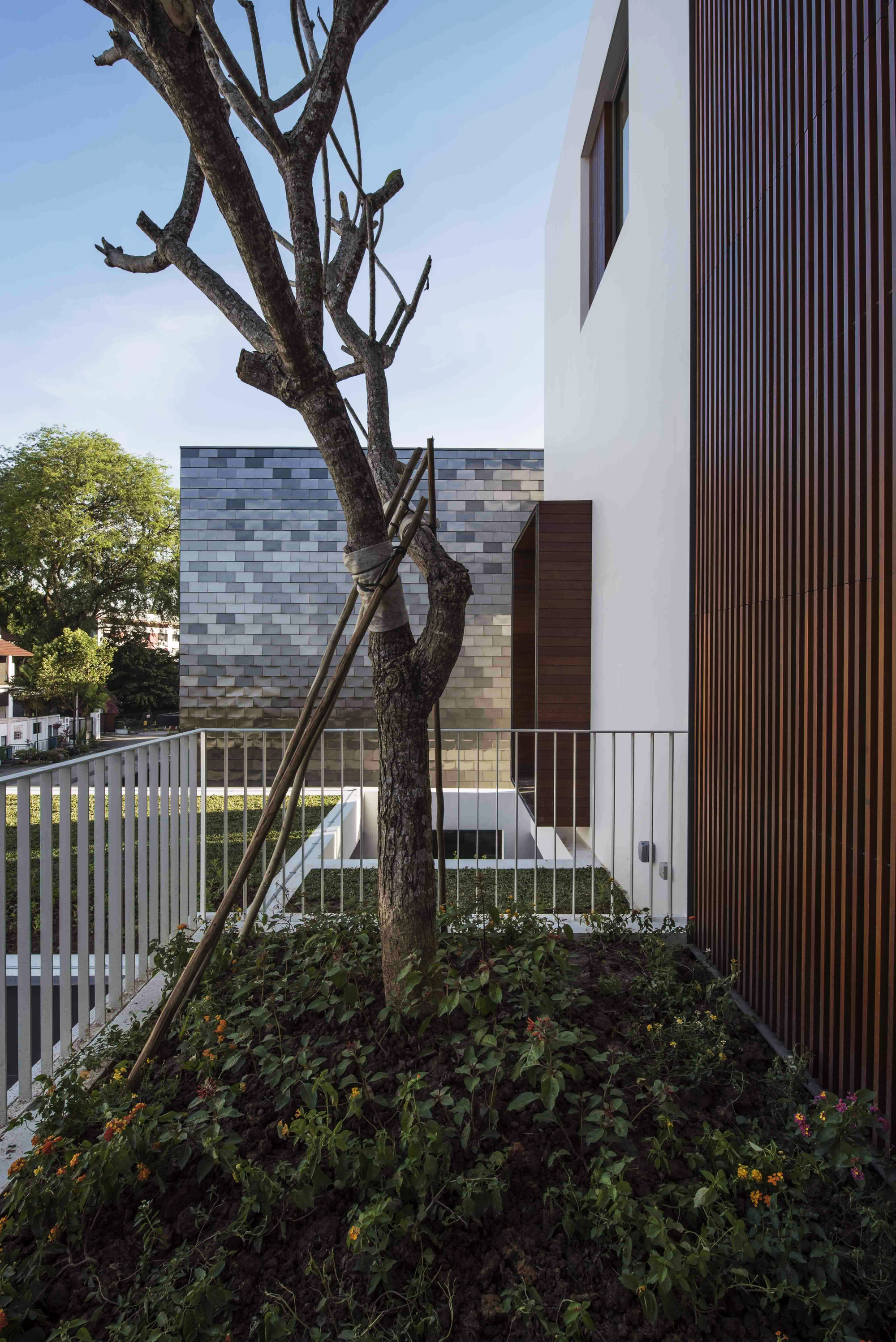 Gallery of Box House / Ming Architects - 4