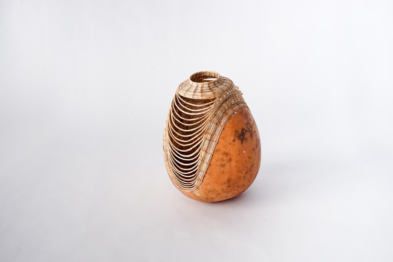 Gallery of How Terrol Dew Johnson and Aranda\Lasch Are Reinventing ...