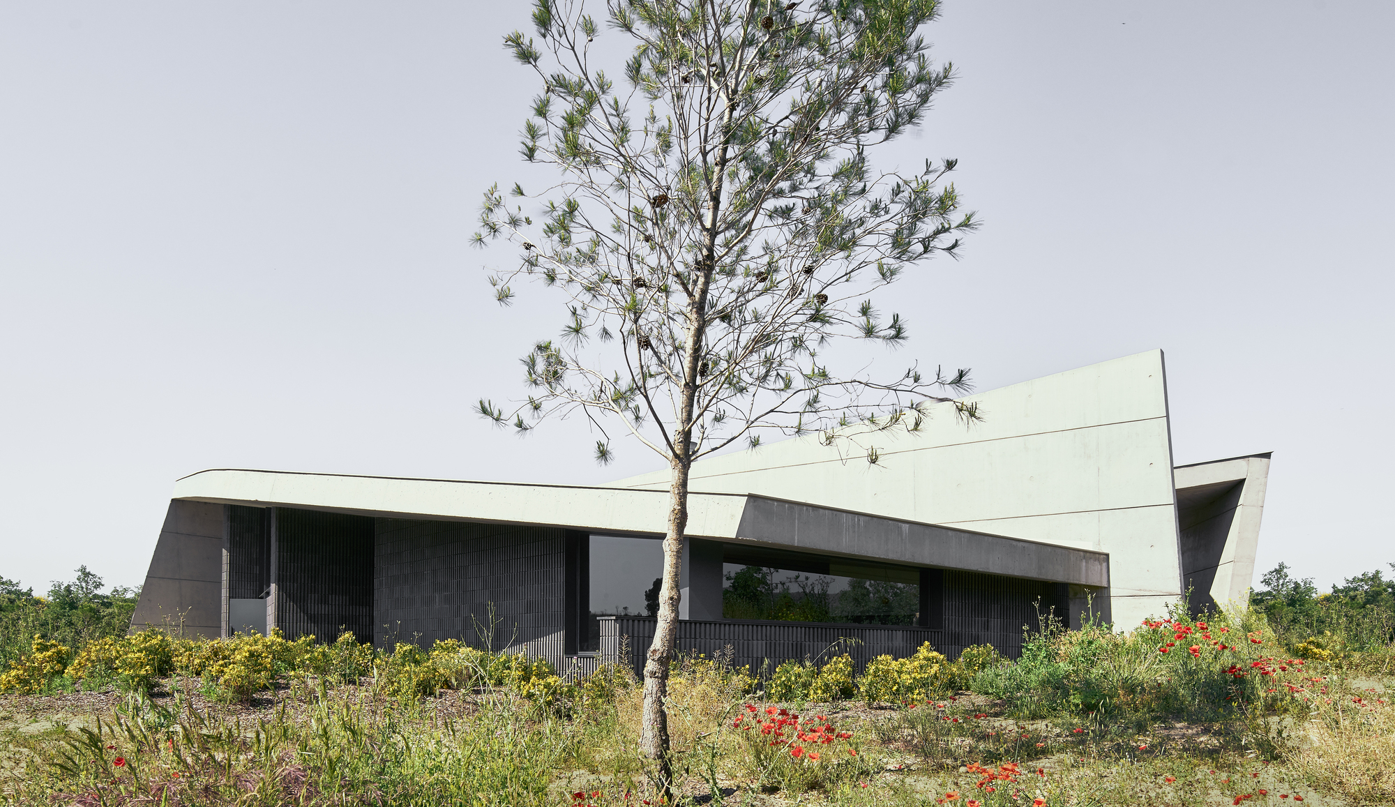 Galería de Crematorio de Igualada / Estudio Carme Pinós - 7