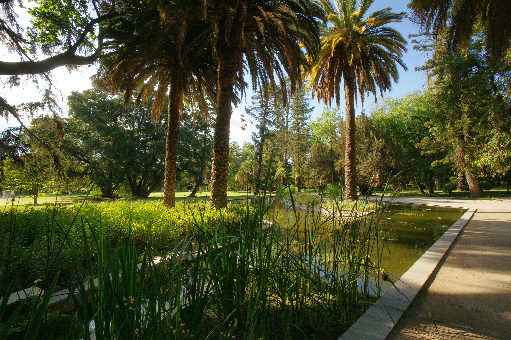 画廊 公园与住宅 ‘Las Majadas de Pirque’ / Lyon Bosch Arquitectos - 11