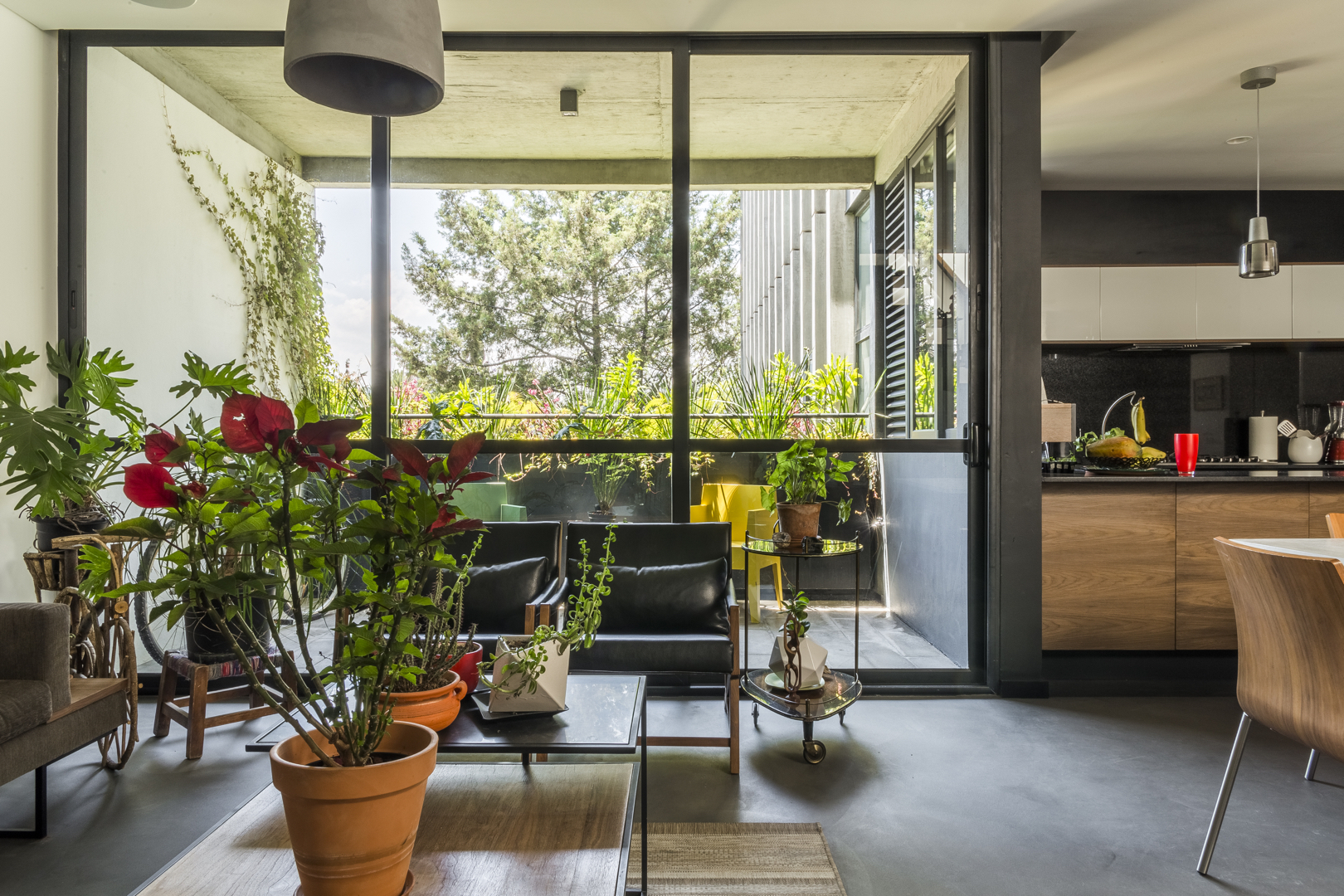 Gallery of Damas 45 Building / dmp arquitectura - 6