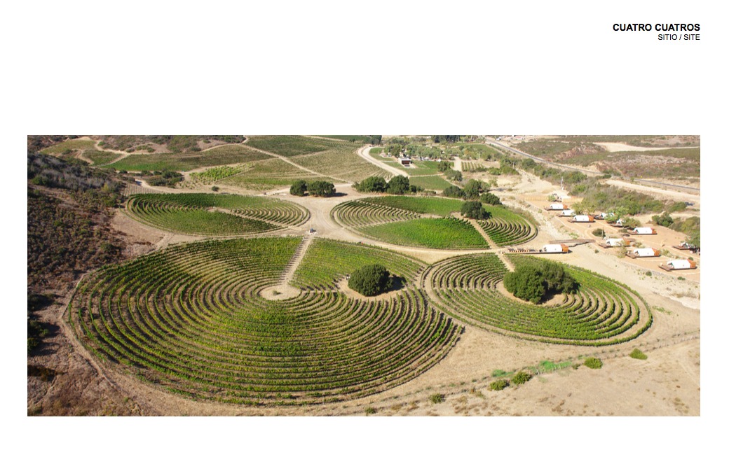 Galería de Cuatro Cuatros: el ambicioso proyecto que crea un colectivo ...