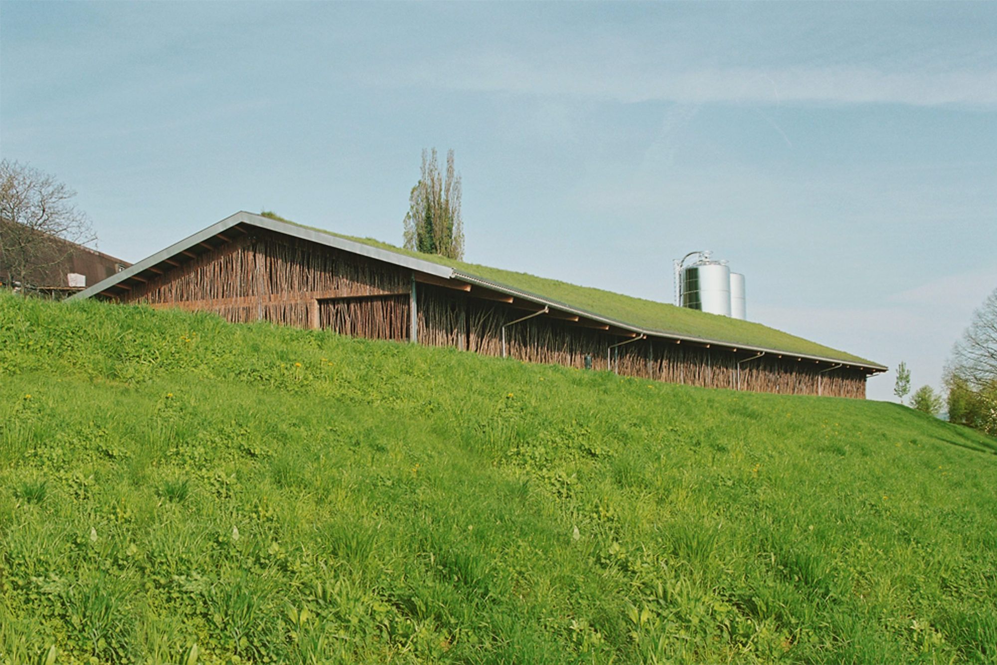 Gallery of Cow Barn / F.A.B. - Forschungs- und Architekturbüro - 7