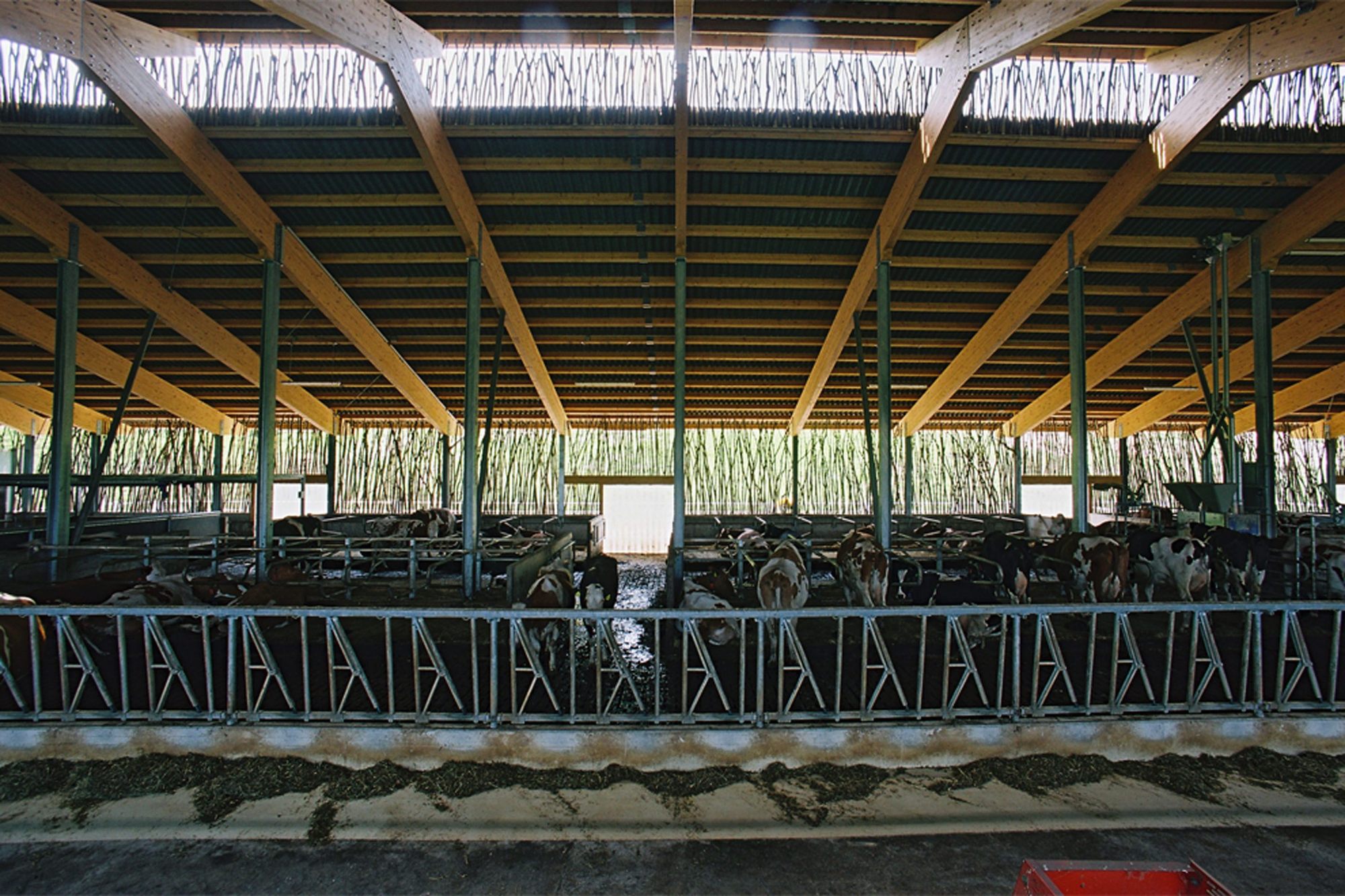 Gallery of Cow Barn / F.A.B. - Forschungs- und Architekturbüro - 12