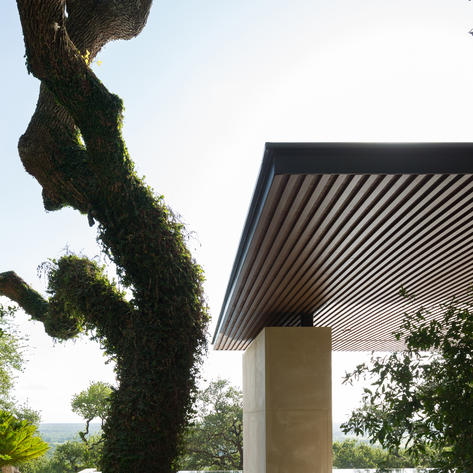 Galeria de O Pavilhão Grange / Murray Legge Architecture - 5