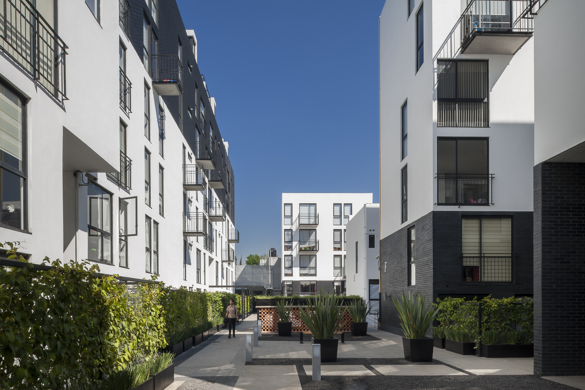 Gallery of María Ribera Dwellings / JSa - 12