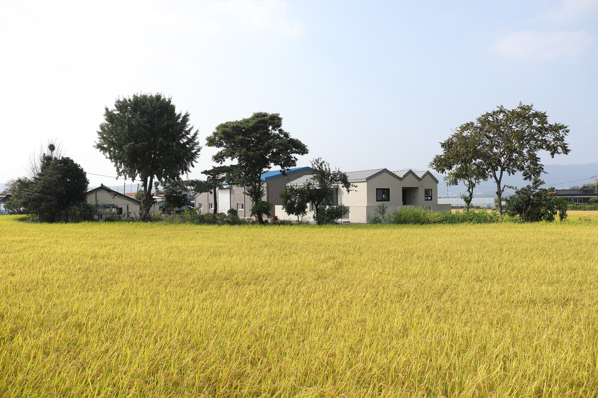Gallery of Living Room for Farmer / SSA - 2