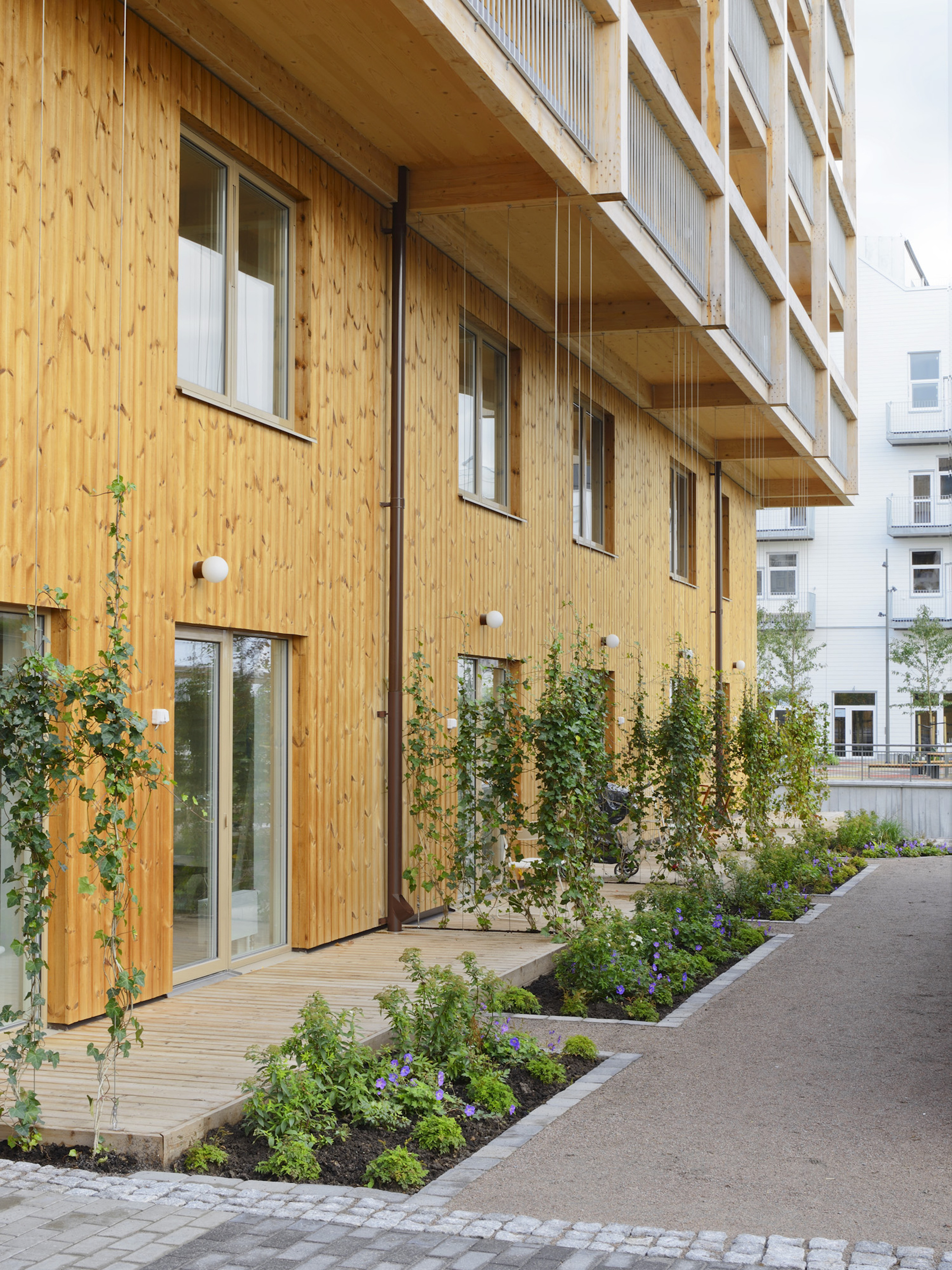 Gallery of The Wooden Box House / Spridd - 14