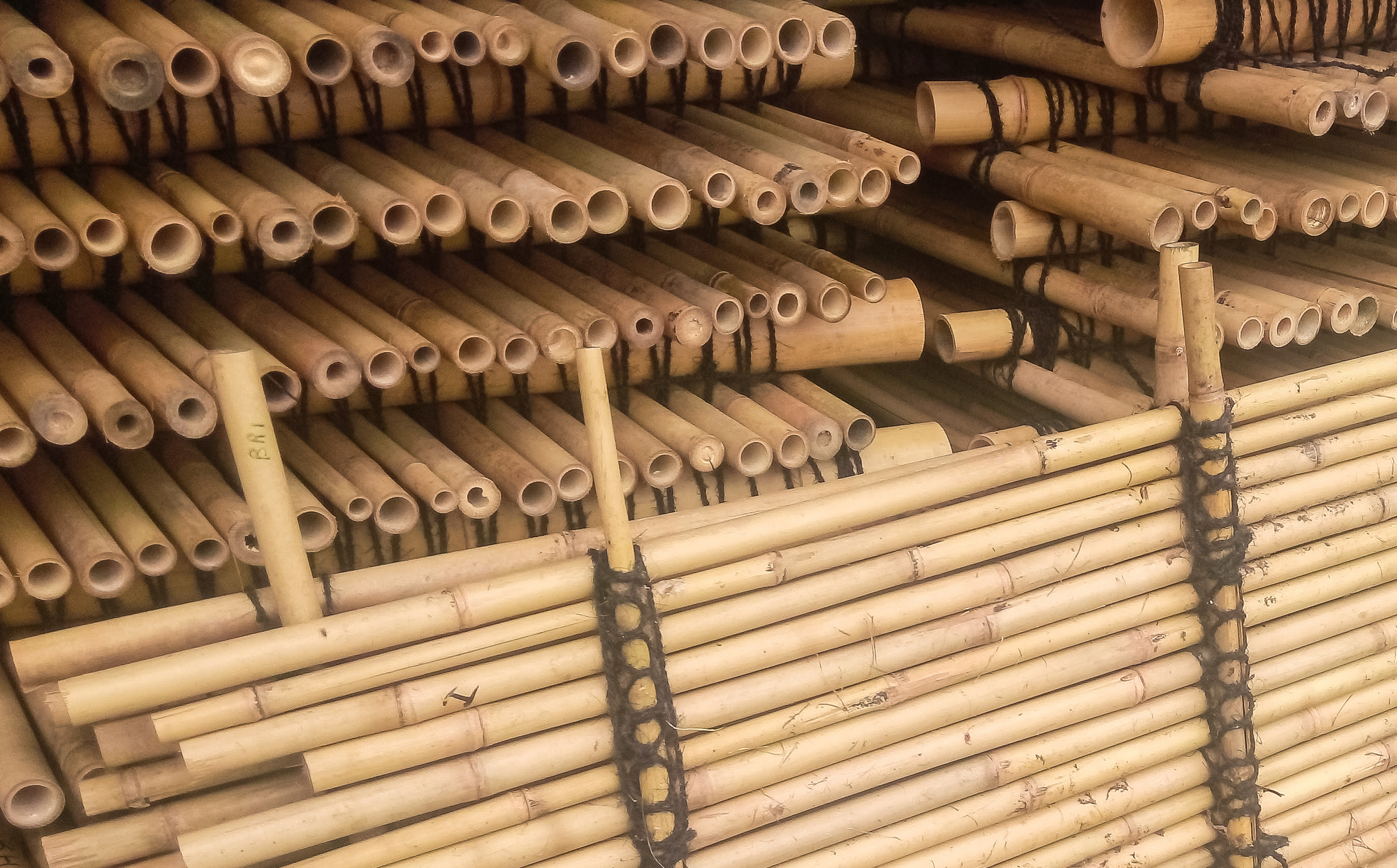 Gallery of 5800 Individual Bamboo Poles Stand Tall as a Lightweight ...