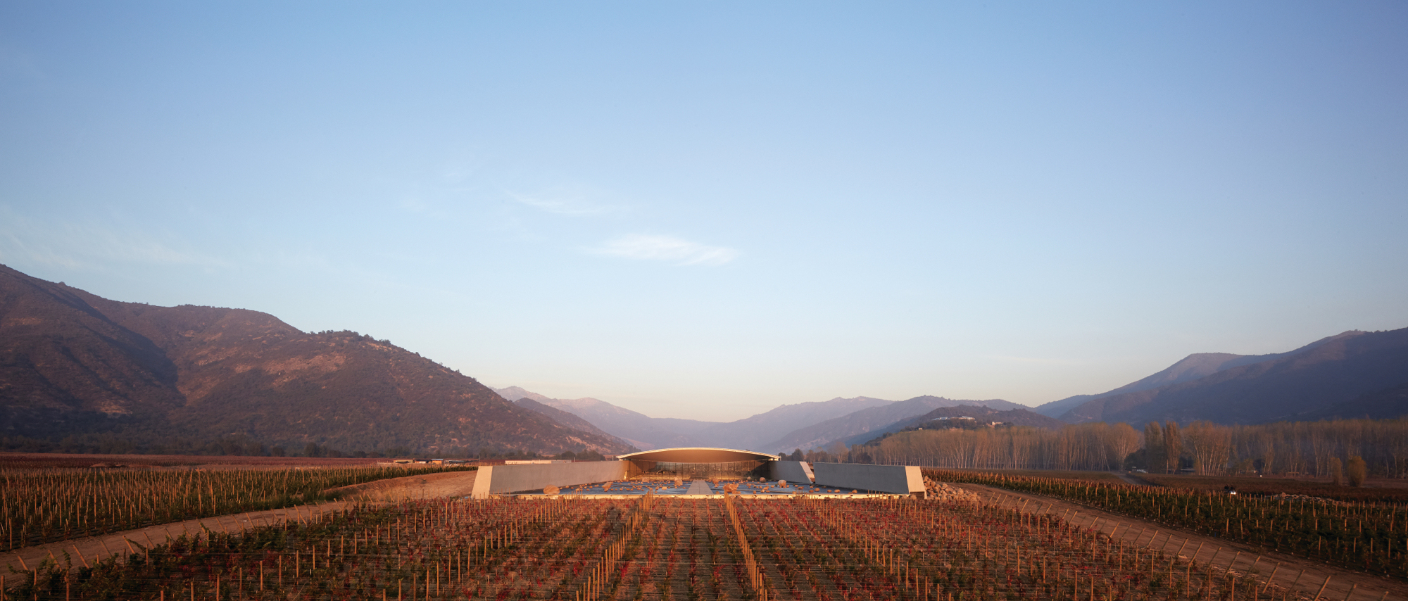 Gallery of Best Vineyards in Chile & Argentina (For Wine and ...