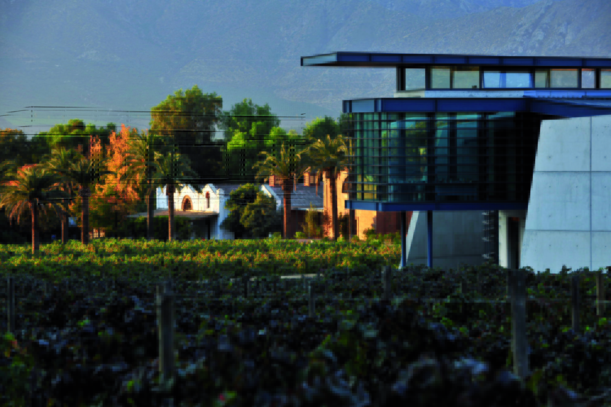 Gallery of Best Vineyards in Chile & Argentina (For Wine and ...
