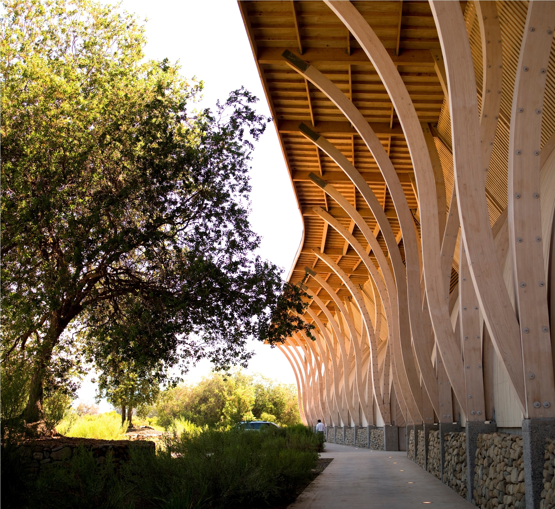 Gallery of Best Vineyards in Chile & Argentina (For Wine and ...