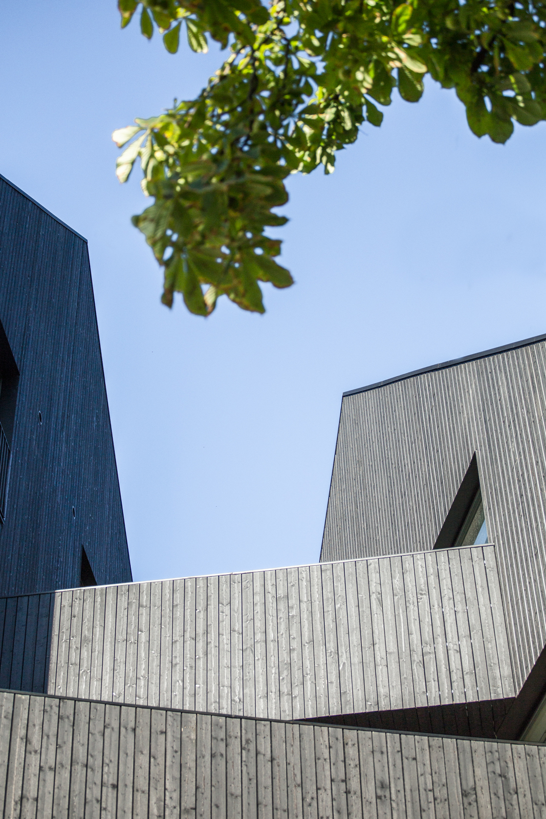 Gallery of Residential Development J.Basanaviciaus 9A / Paleko ...