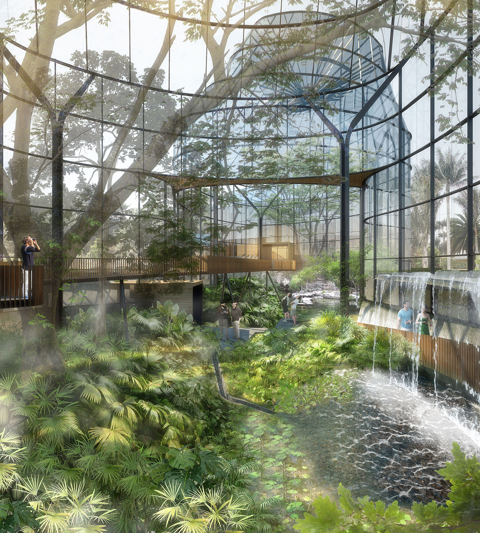 Galería de Tropicario / DARP - De Arquitectura y Paisaje - 9