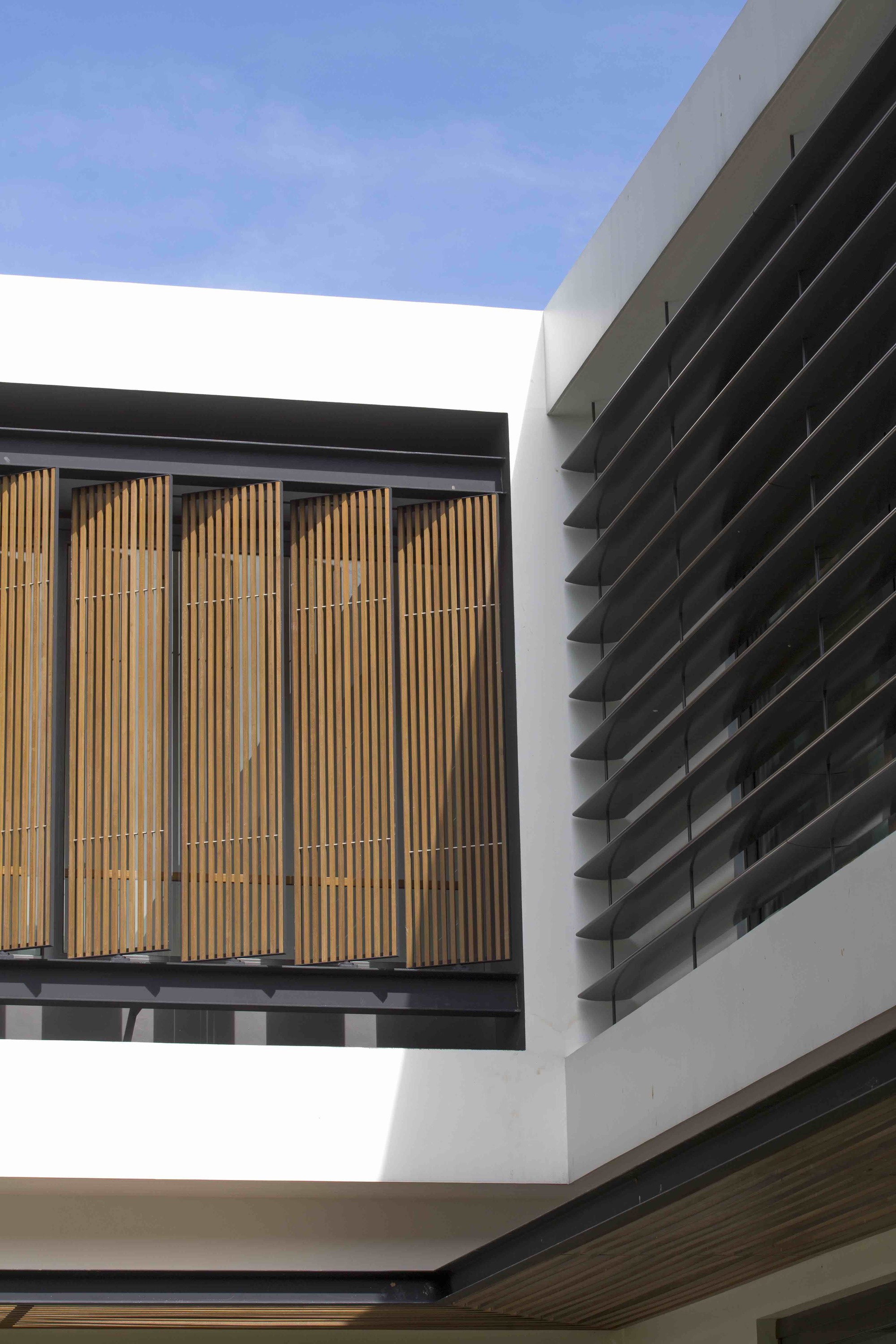 Galería de See Through House / Wallflower Architecture + Design - 19