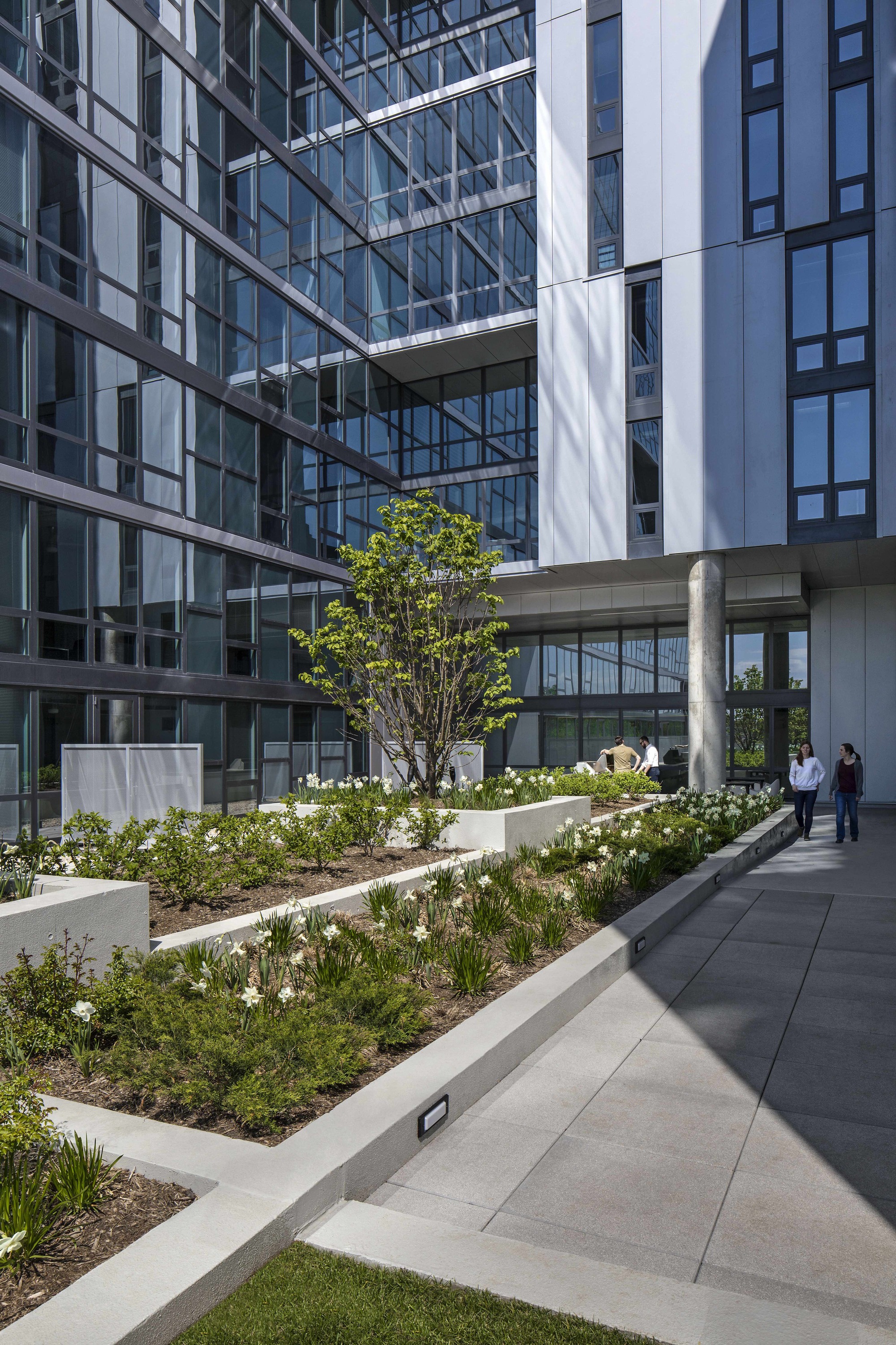 Gallery of Vue53 / Valerio Dewalt Train - 7