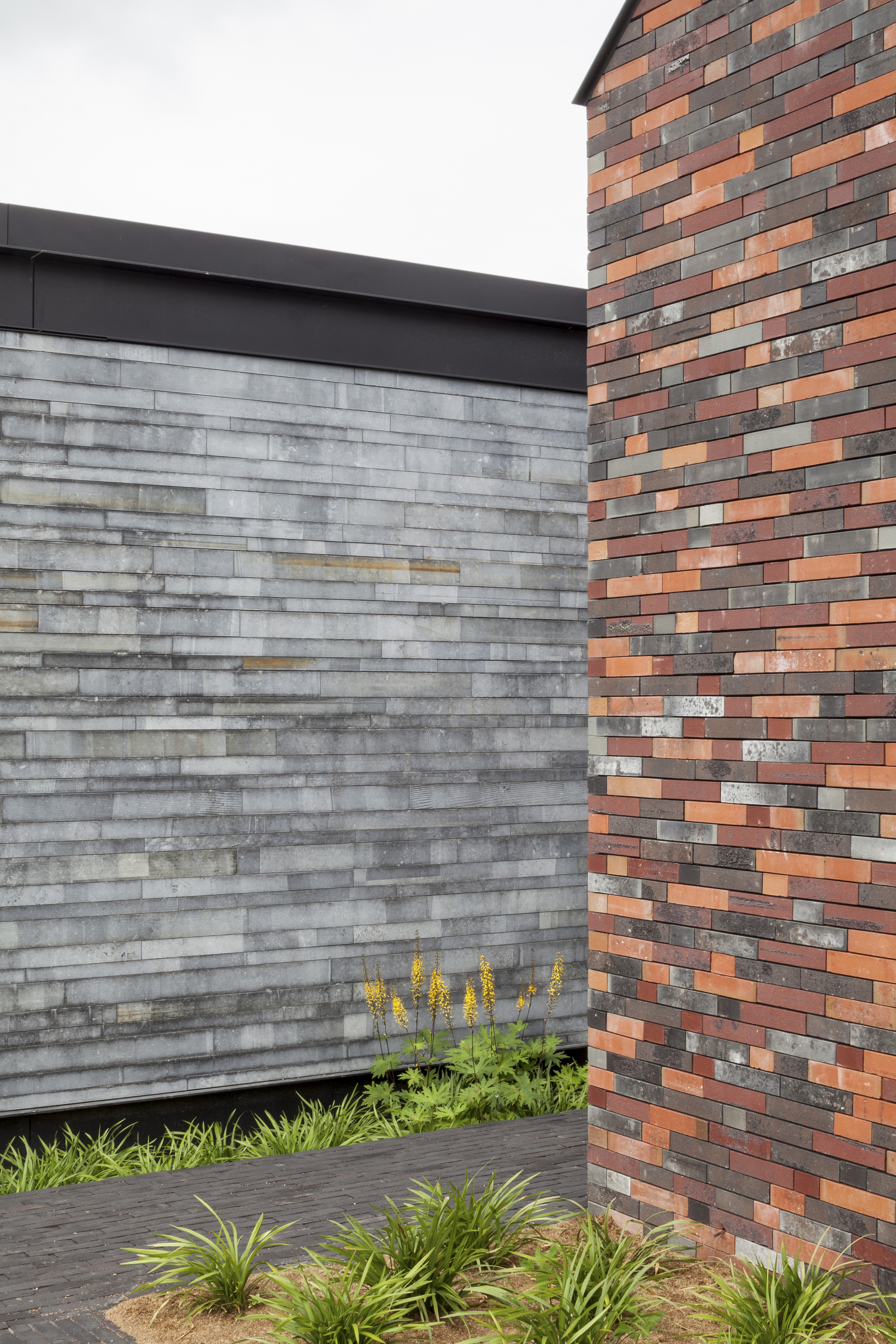 Gallery of H-Shaped House with Office / sam architects - 5