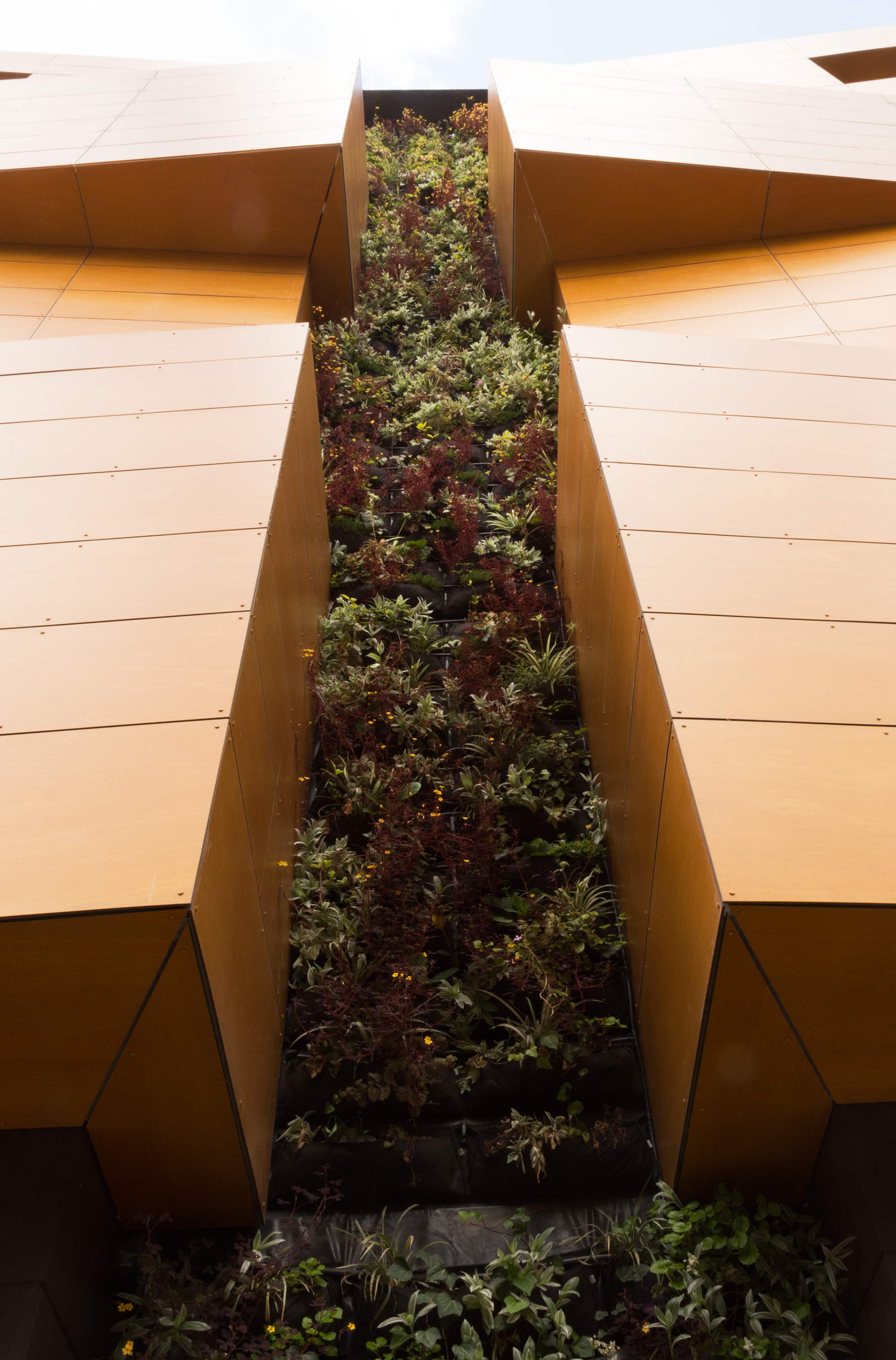 Gallery of HG - Gerontological Home / R+B Diseño Experimental - 13