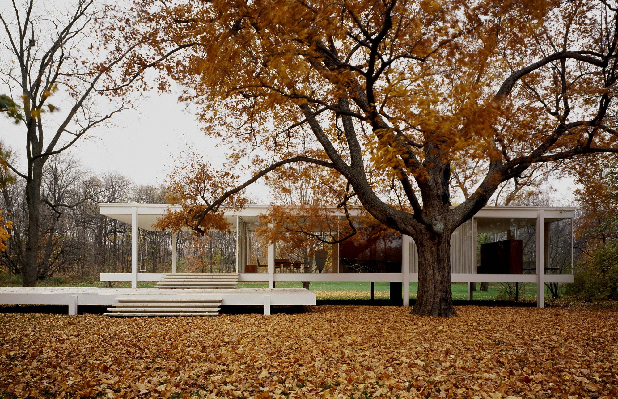 Gallery of Works of Classic Architecture Captured During Autumnal ...