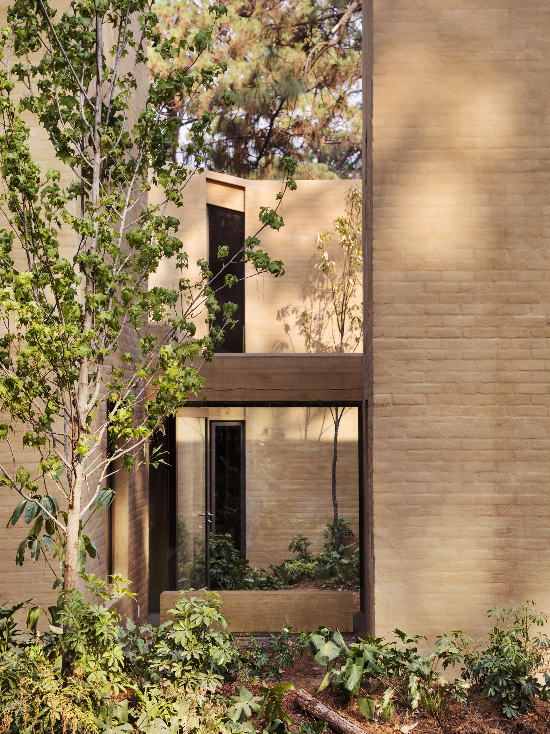 Gallery of Entrepinos Housing / Taller Hector Barroso - 9