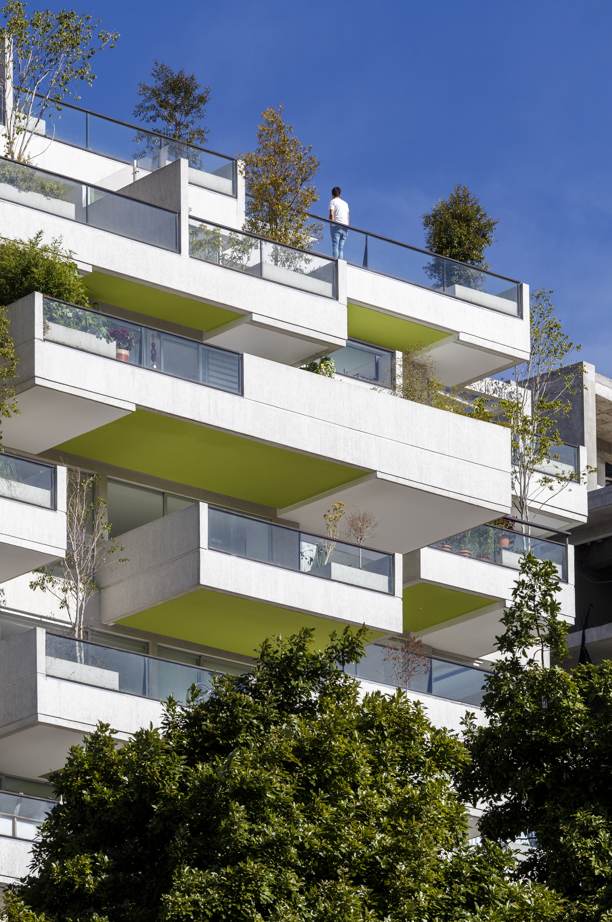 Gallery of PERMEABLE LIVING Building / Arquitectura X - 12