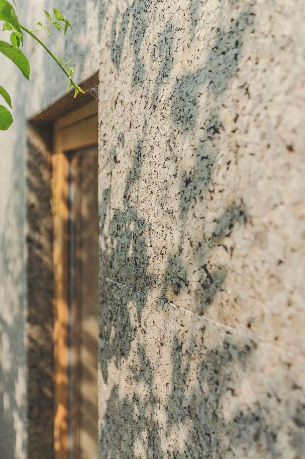 Gallery of Could Cork Be Nature’s Answer to Our Environmental and ...