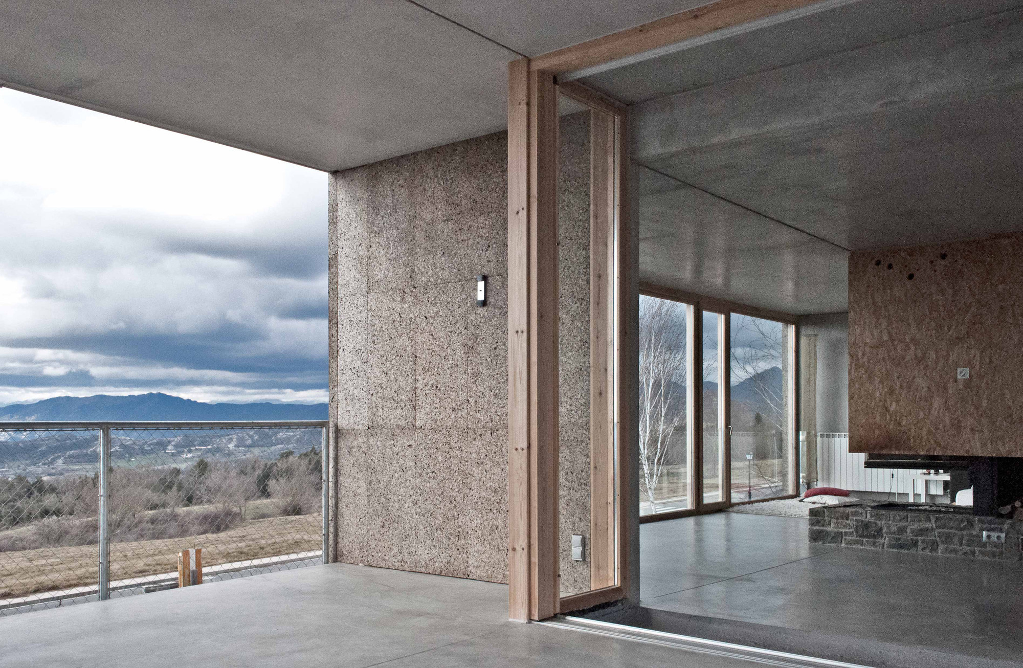 Gallery of Could Cork Be Nature’s Answer to Our Environmental and ...