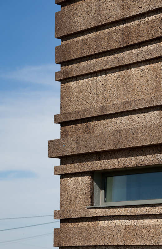 Gallery of Could Cork Be Nature’s Answer to Our Environmental and ...