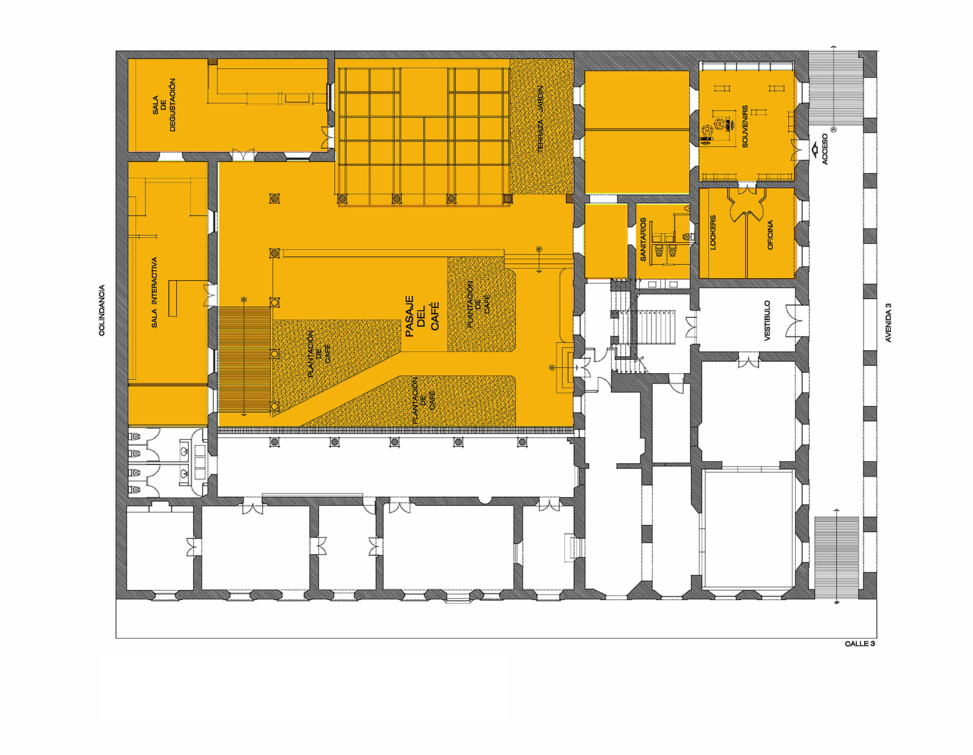Galería de MUSEO DEL CAFÉ / M+DA ARQUITECTOS - 15