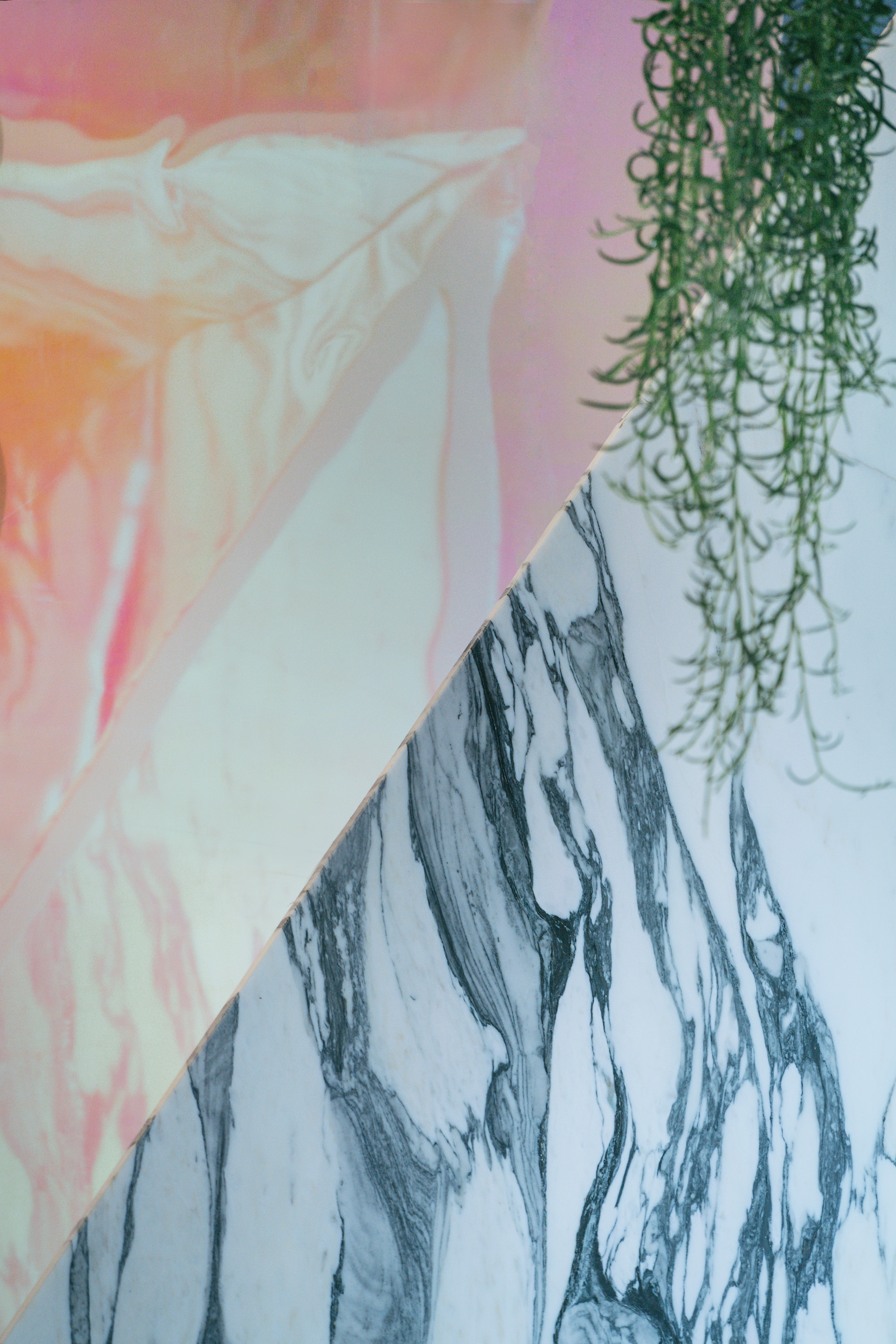 Gallery of RÒMOLA / Andrés Jaque Architects - 5