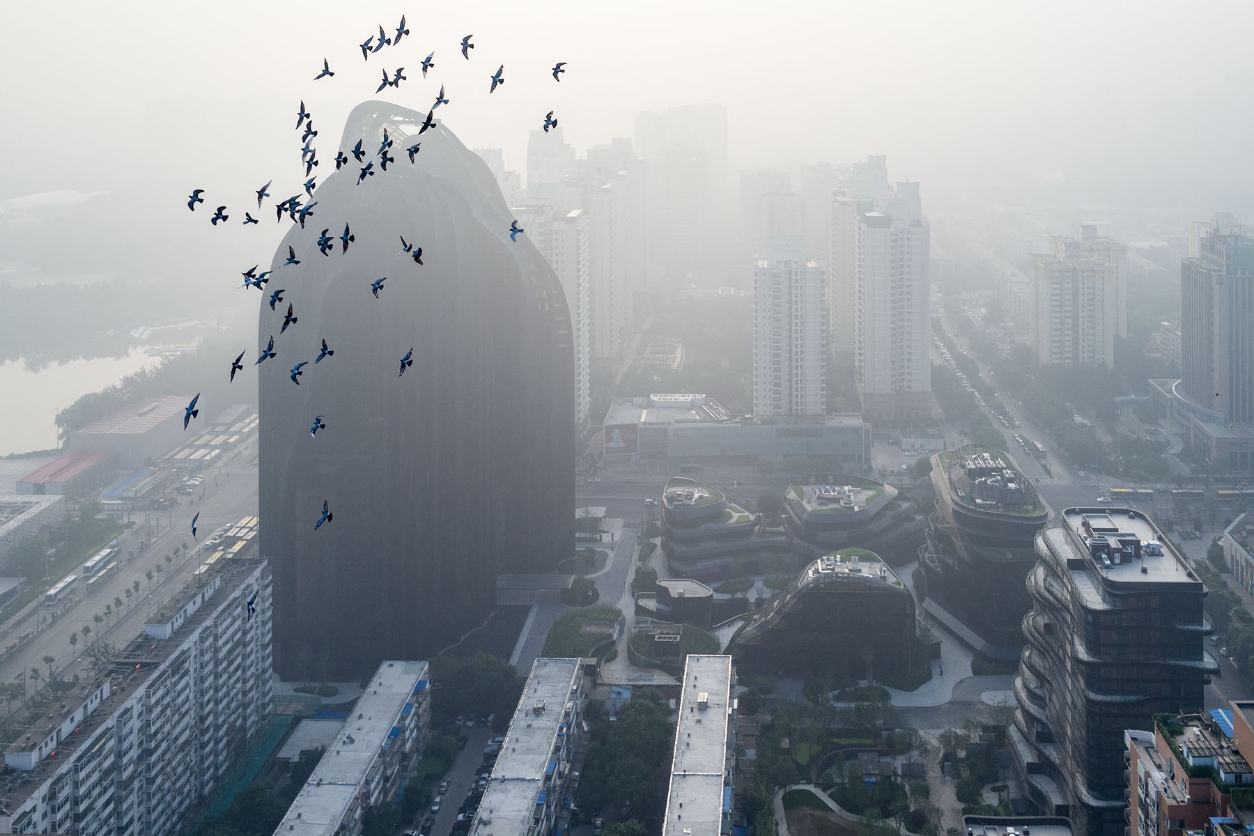 MAD‘朝阳公园广场’，与八月的北京，刚刚好 | ArchDaily