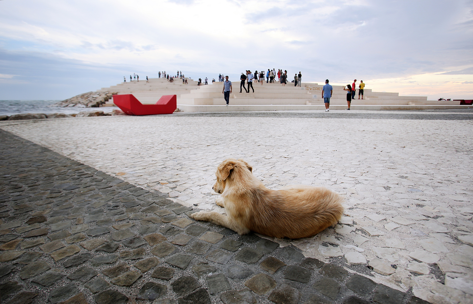 Gallery of Cape Square / BOOM Landscape + CITYFÖRSTER - 3