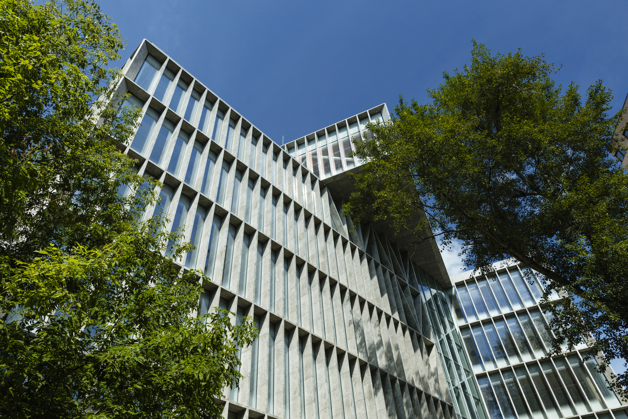 Gallery of Pharmaceutical HQ / Architects of Invention - 12