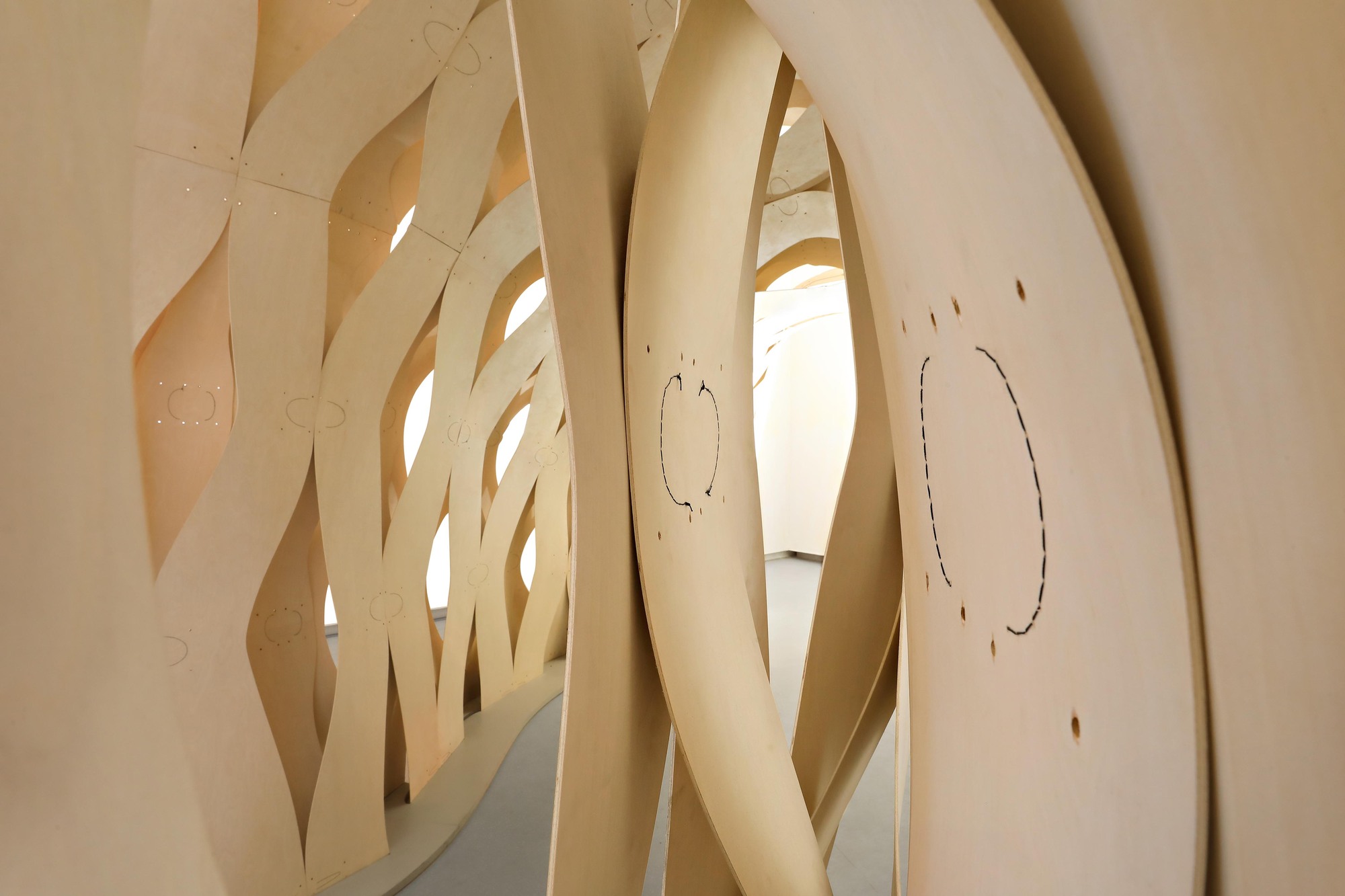 Gallery of Sewn Timber Shell / ICD University of Stuttgart + DDRC ...