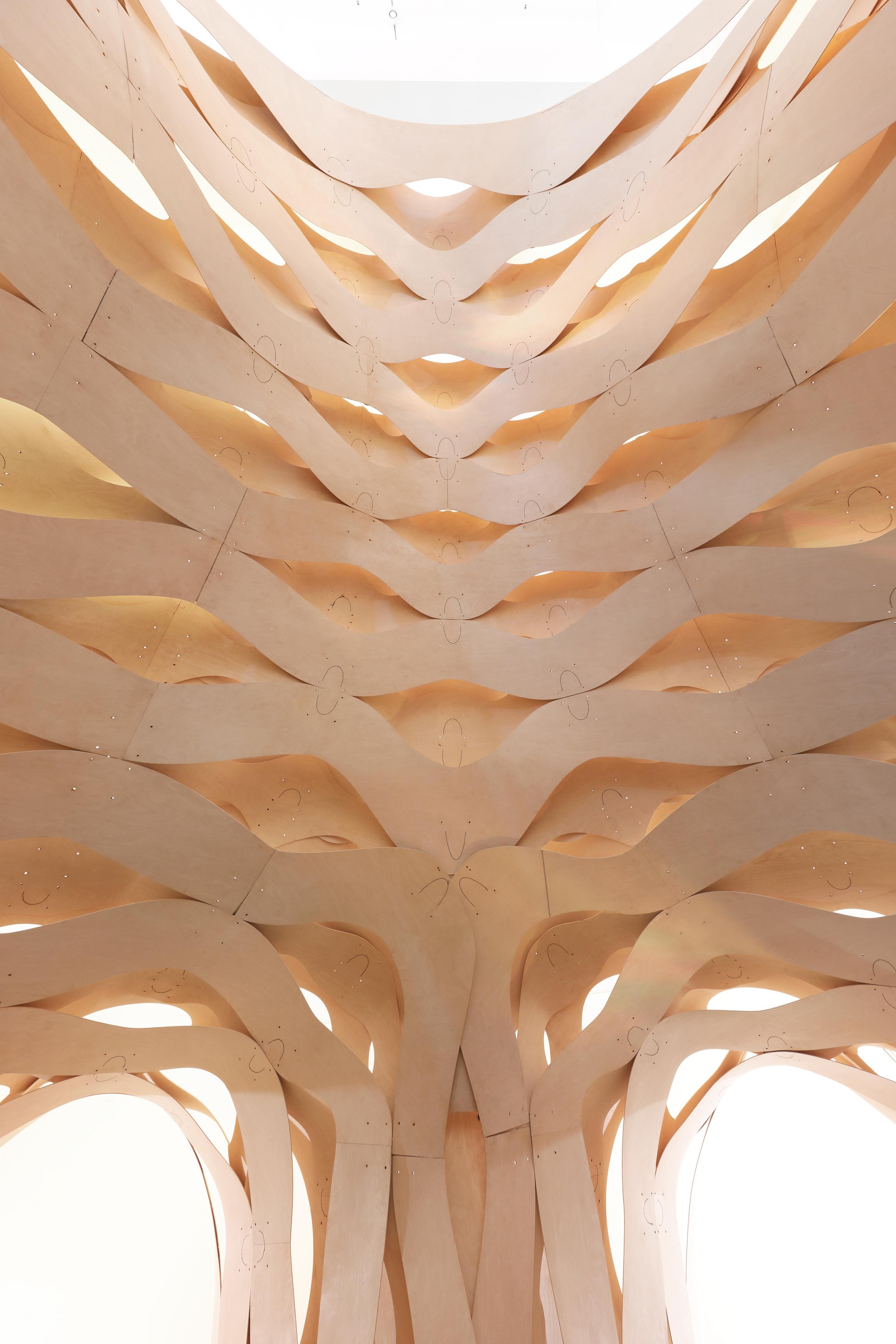 Gallery of Sewn Timber Shell / ICD University of Stuttgart + DDRC ...